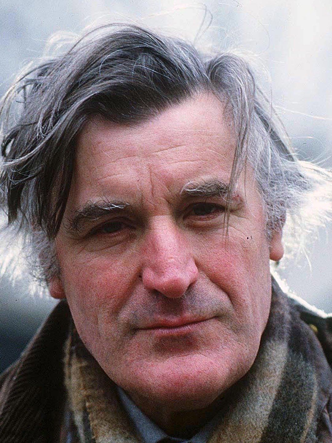Ted Hughes Pictures | Rotten Tomatoes