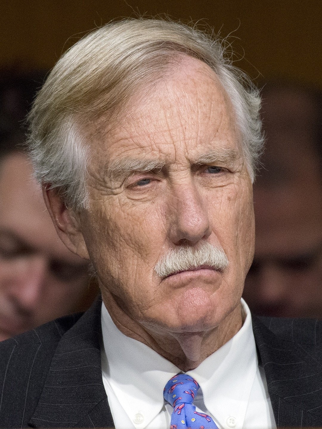 Angus King Pictures | Rotten Tomatoes