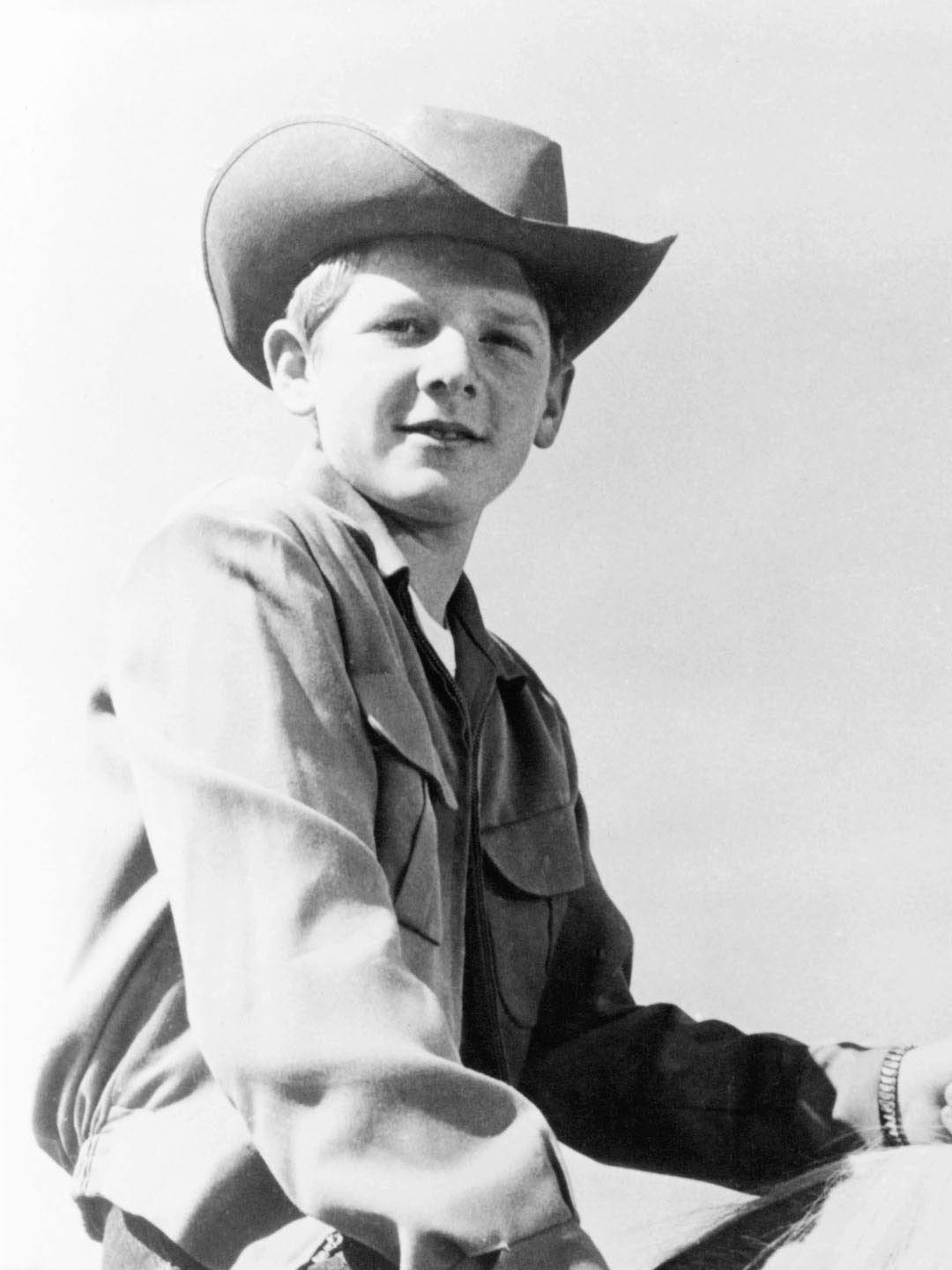 David Stollery Pictures | Rotten Tomatoes