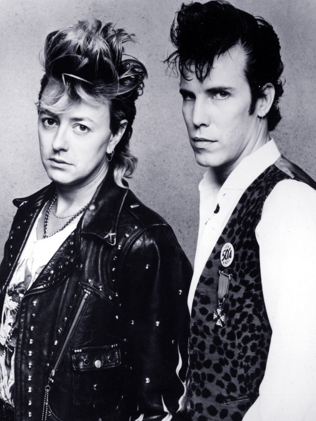 Stray Cats Pictures | Rotten Tomatoes