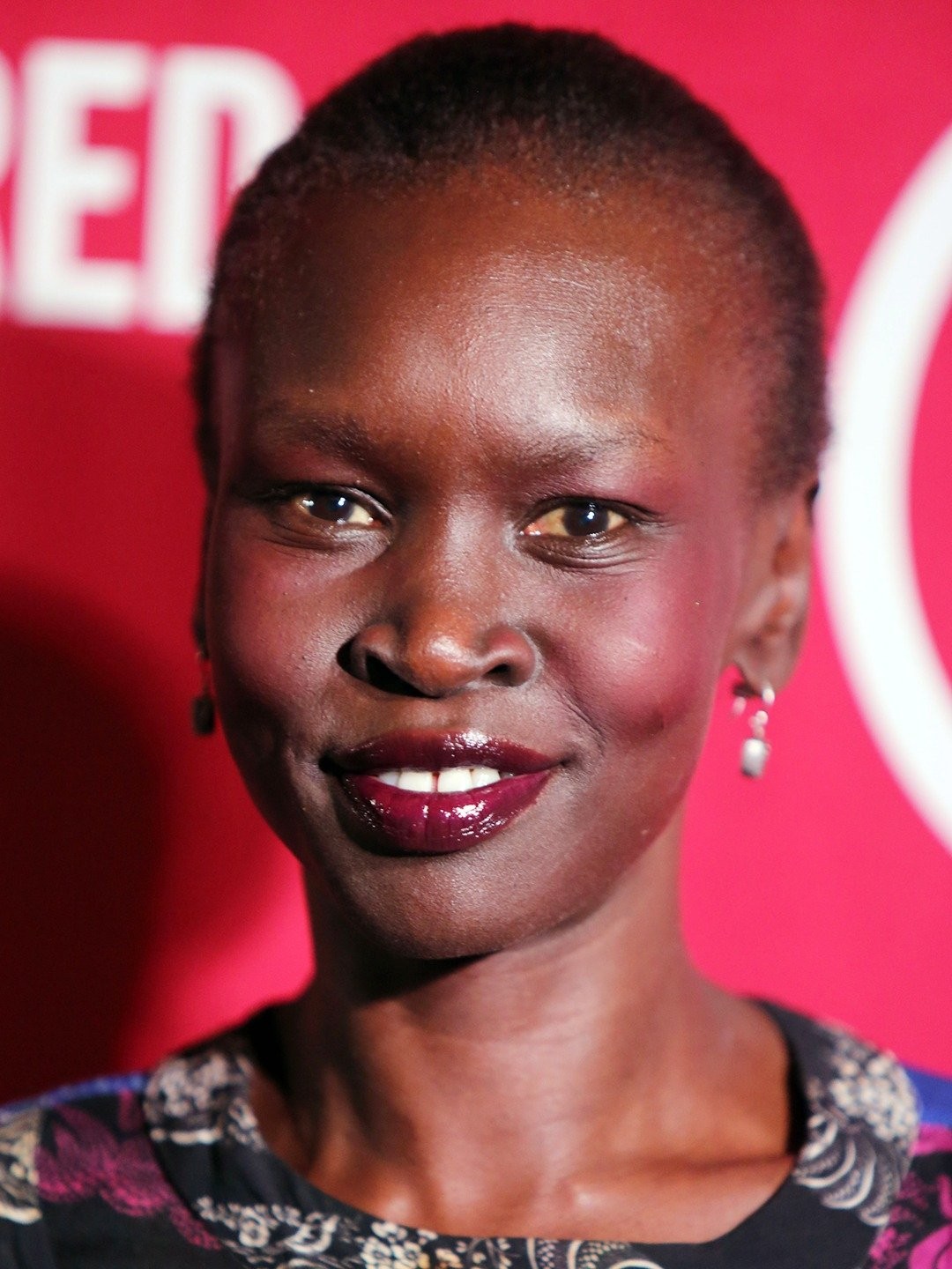 Alek Wek With Hair