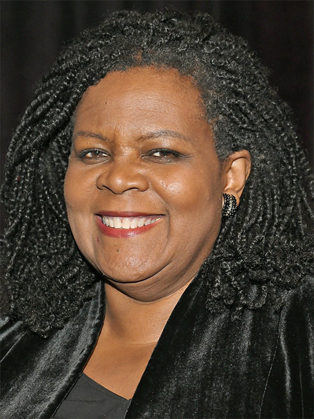 Annette Gordon-Reed Pictures | Rotten Tomatoes