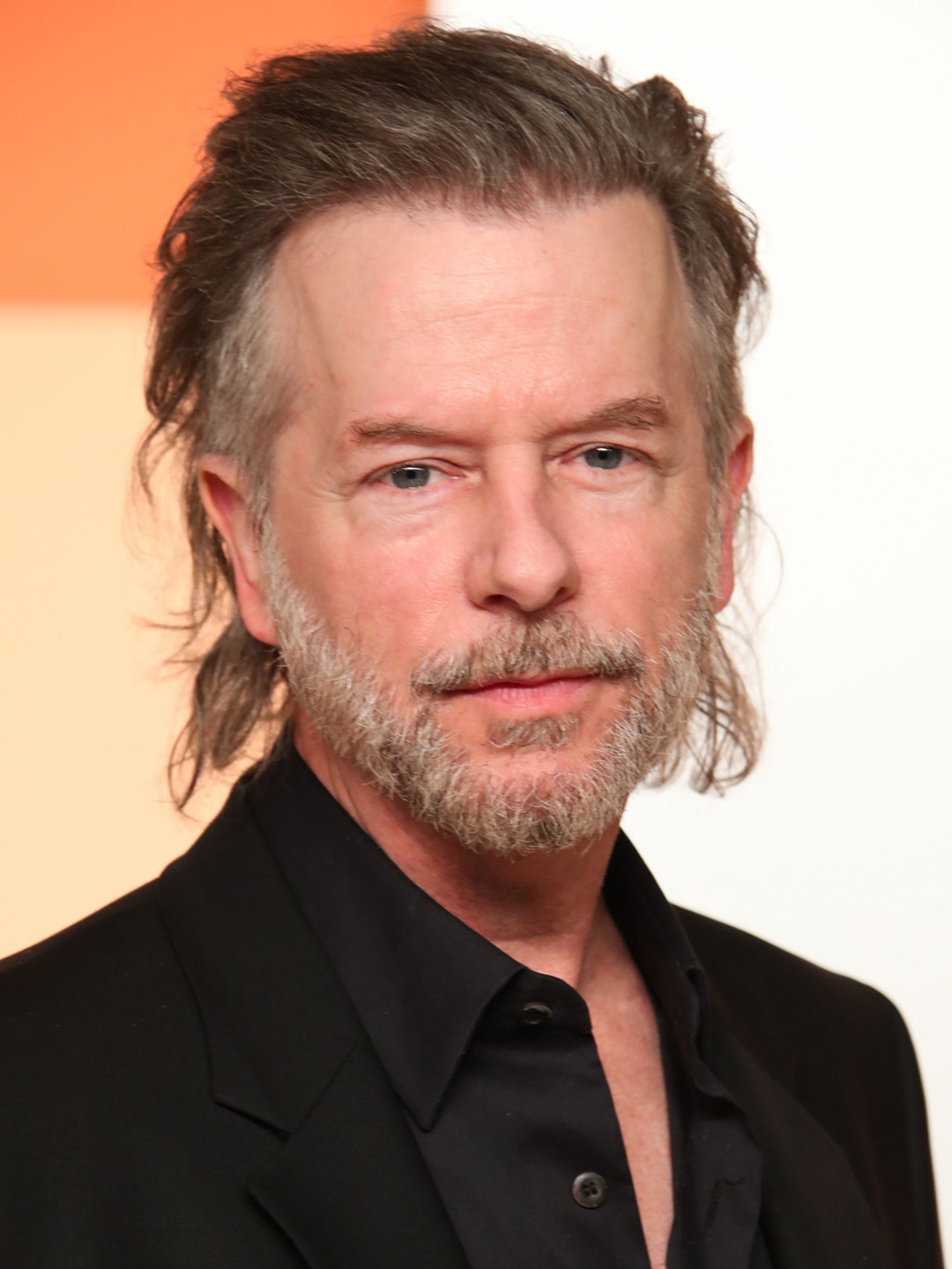 David Spade Pictures | Rotten Tomatoes