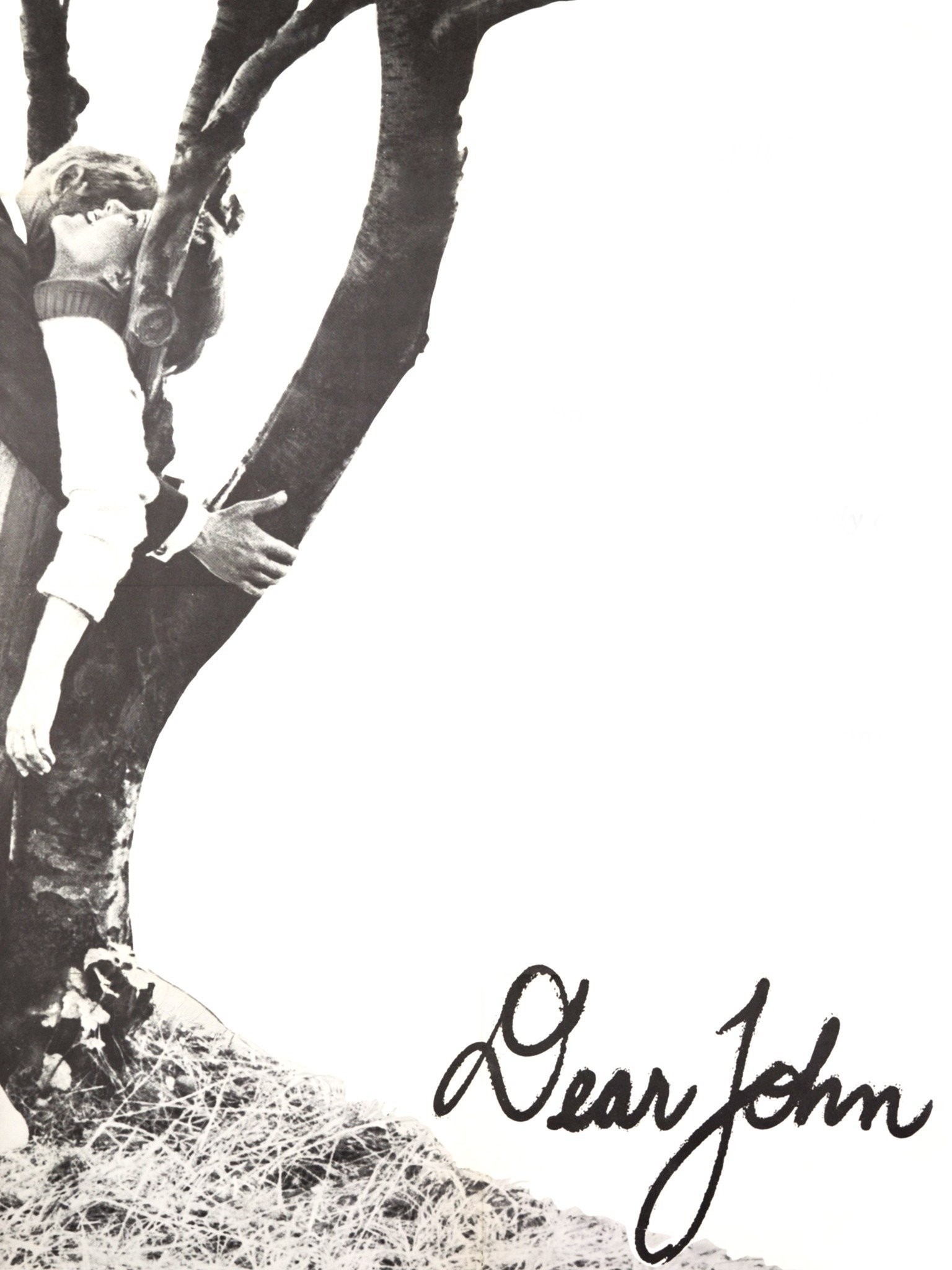 Dear John Pictures | Rotten Tomatoes