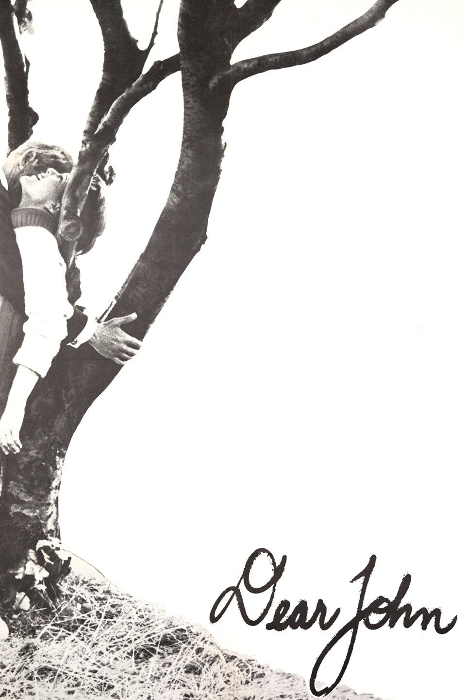 Dear John | Rotten Tomatoes