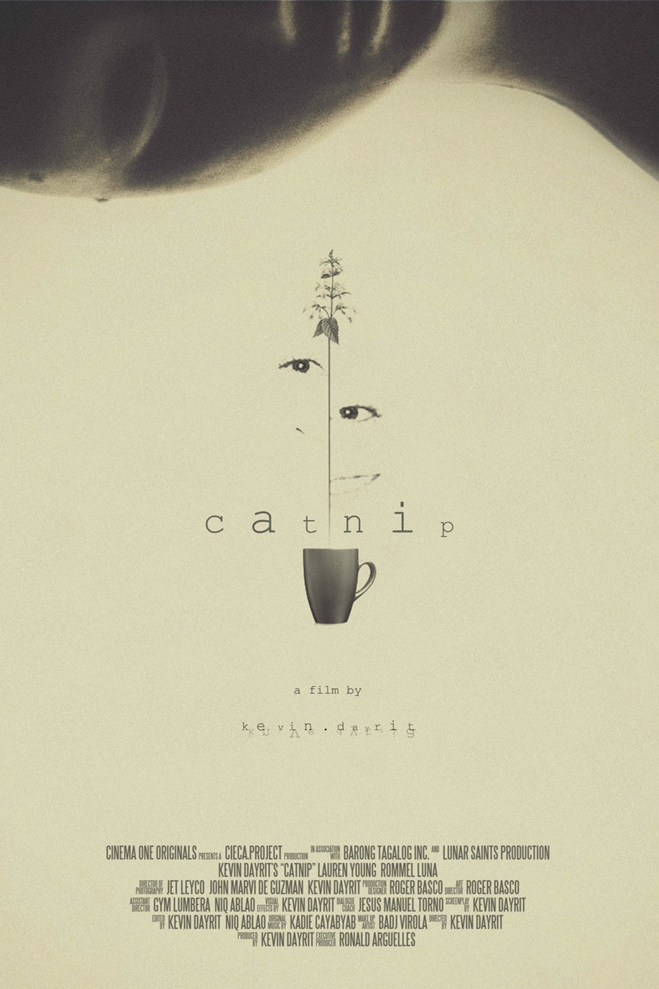 Catnip Pictures | Rotten Tomatoes