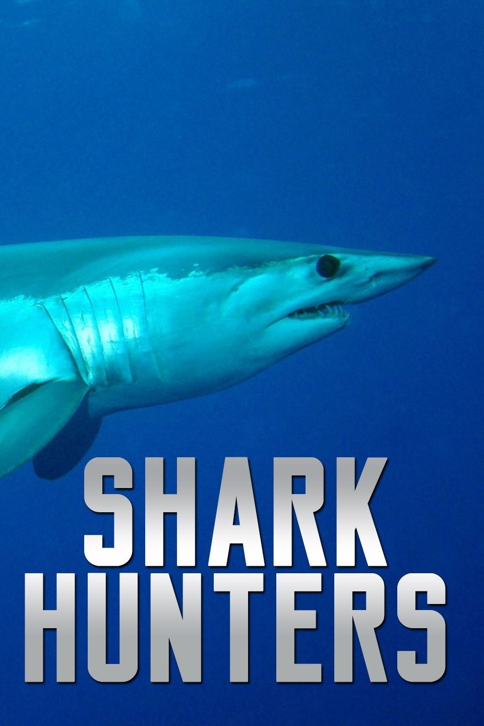 Shark Hunters | Rotten Tomatoes
