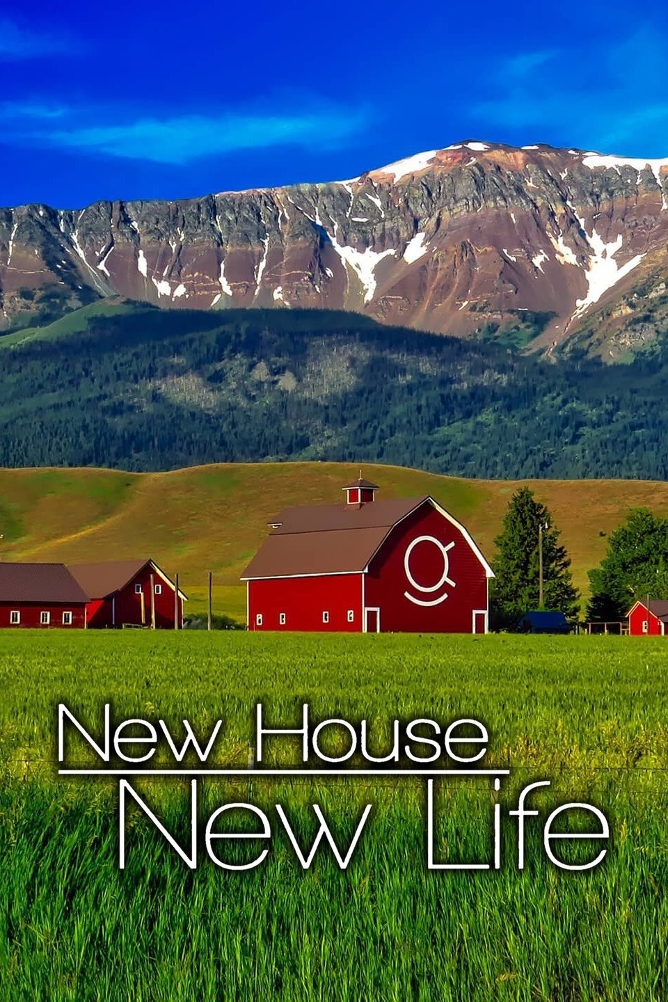New House New Life | Rotten Tomatoes
