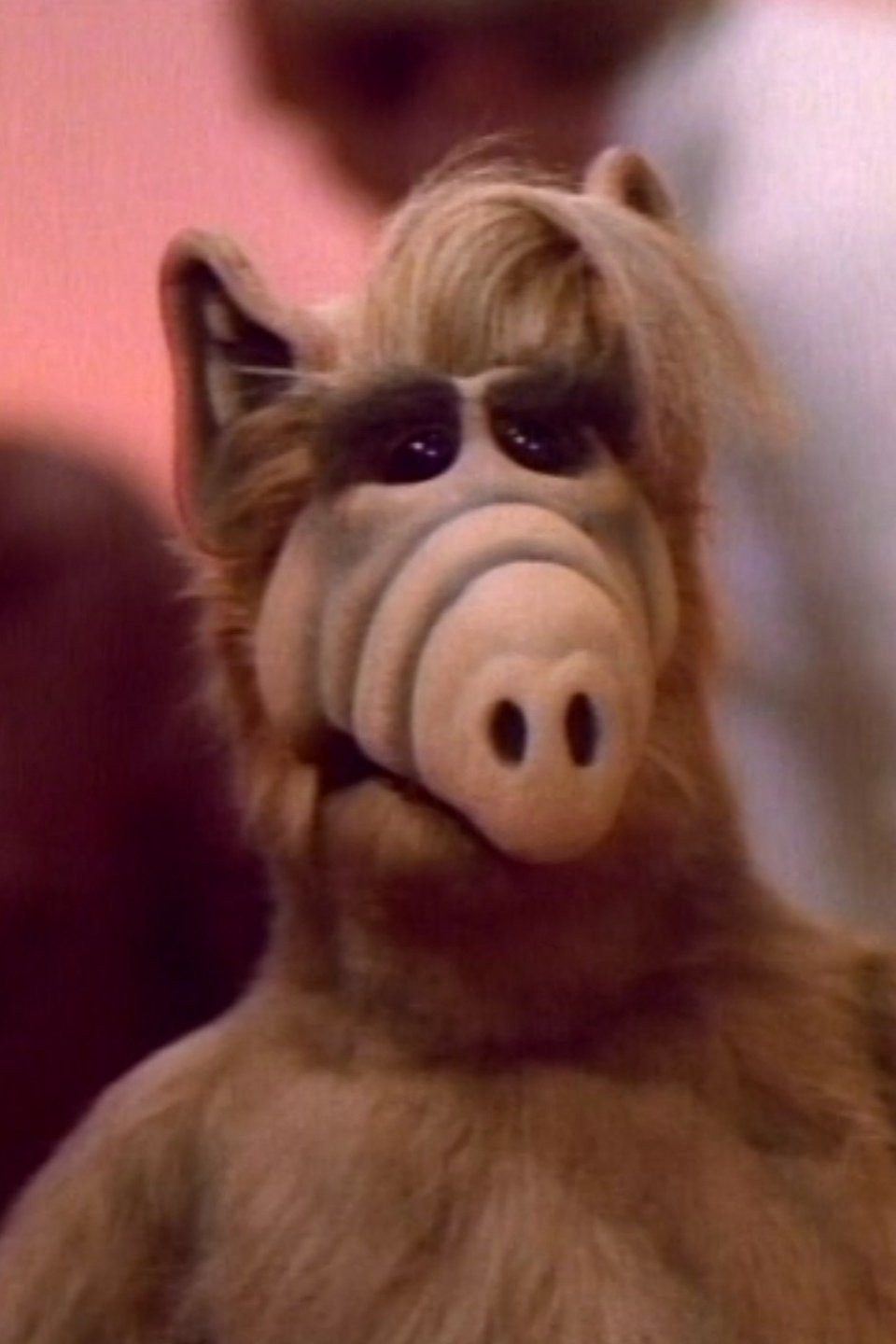 ALF's Special Christmas Pictures | Rotten Tomatoes