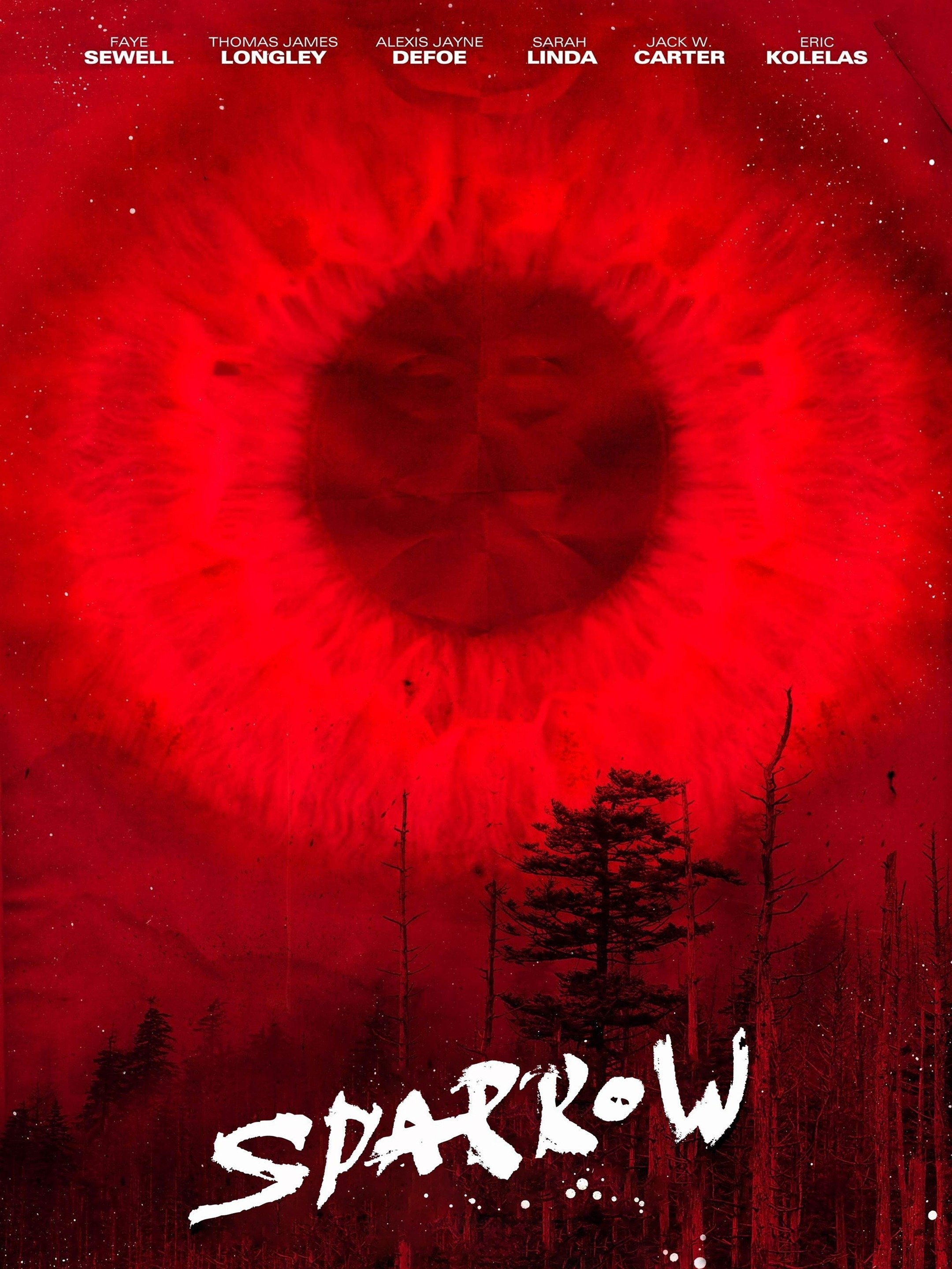 Sparrow Pictures | Rotten Tomatoes