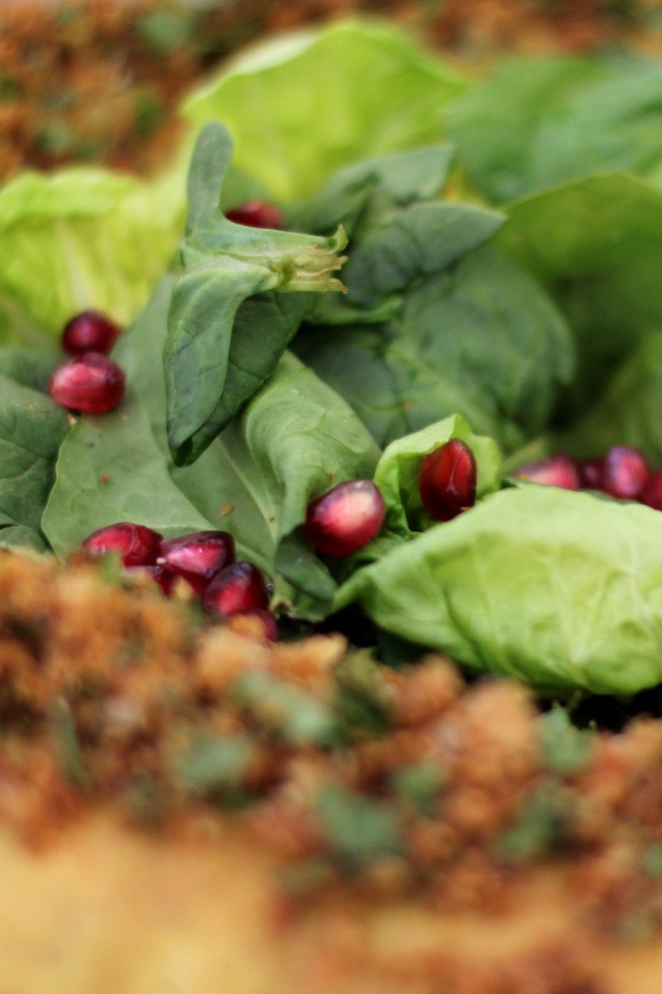 Pies and Tarts Pictures | Rotten Tomatoes