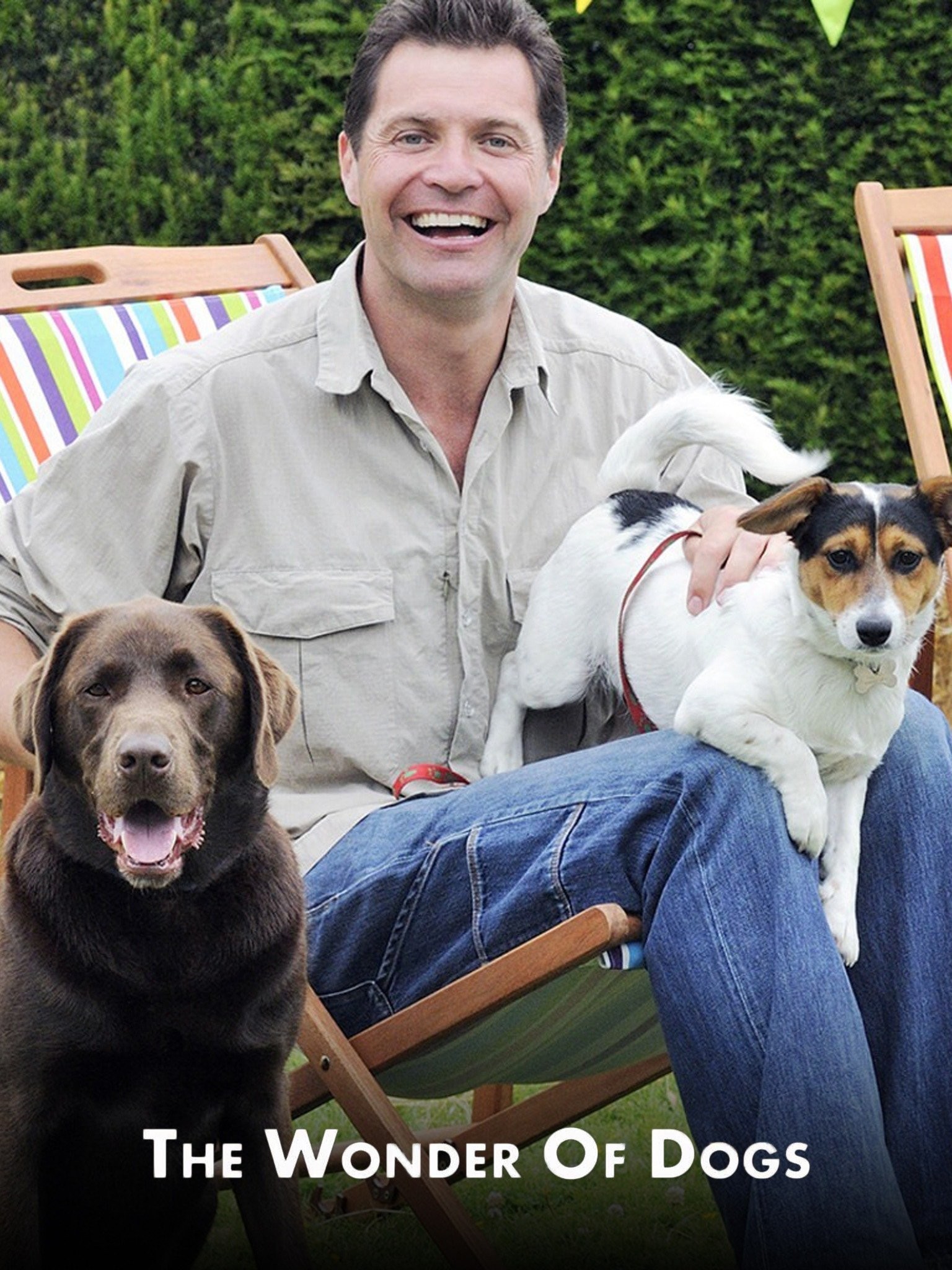 The Wonder of Dogs: Season 1 Pictures | Rotten Tomatoes