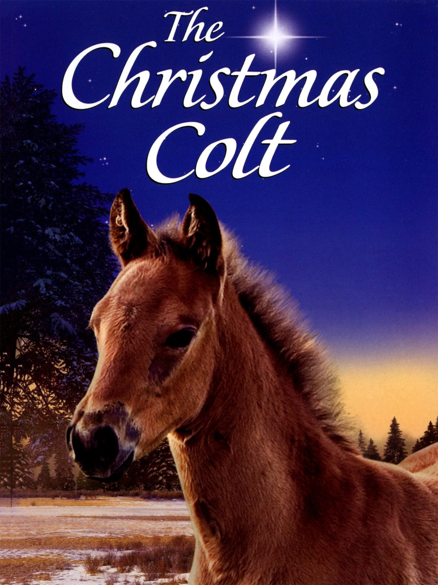 The Christmas Colt Pictures | Rotten Tomatoes