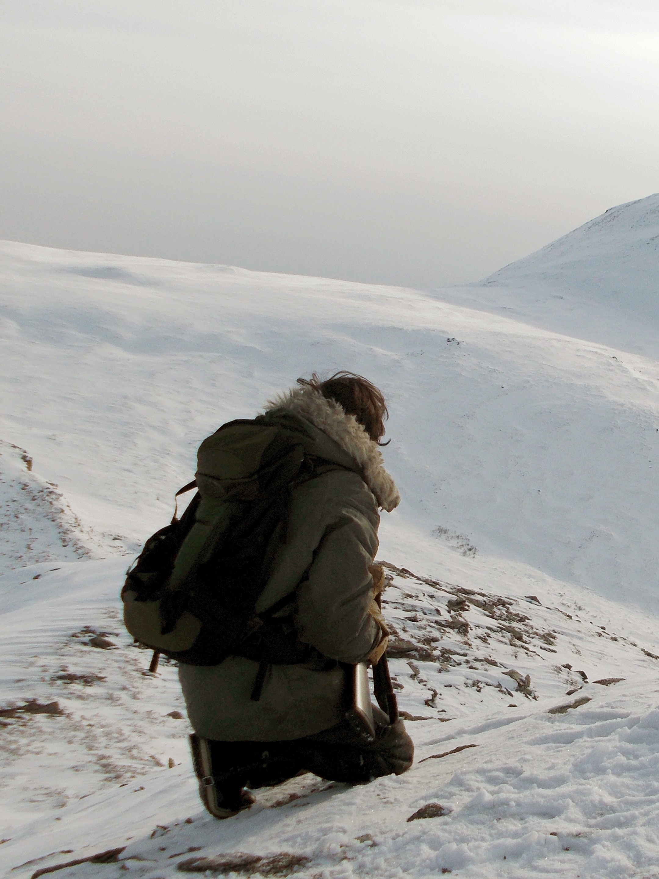 Hunt or Be Hunted Pictures | Rotten Tomatoes