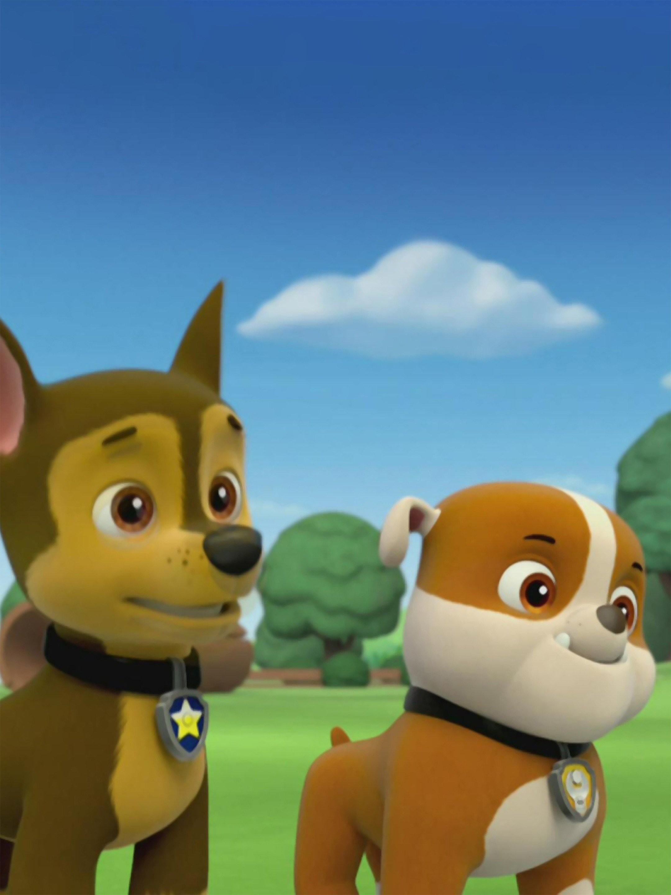 Puptacular Pictures | Rotten Tomatoes