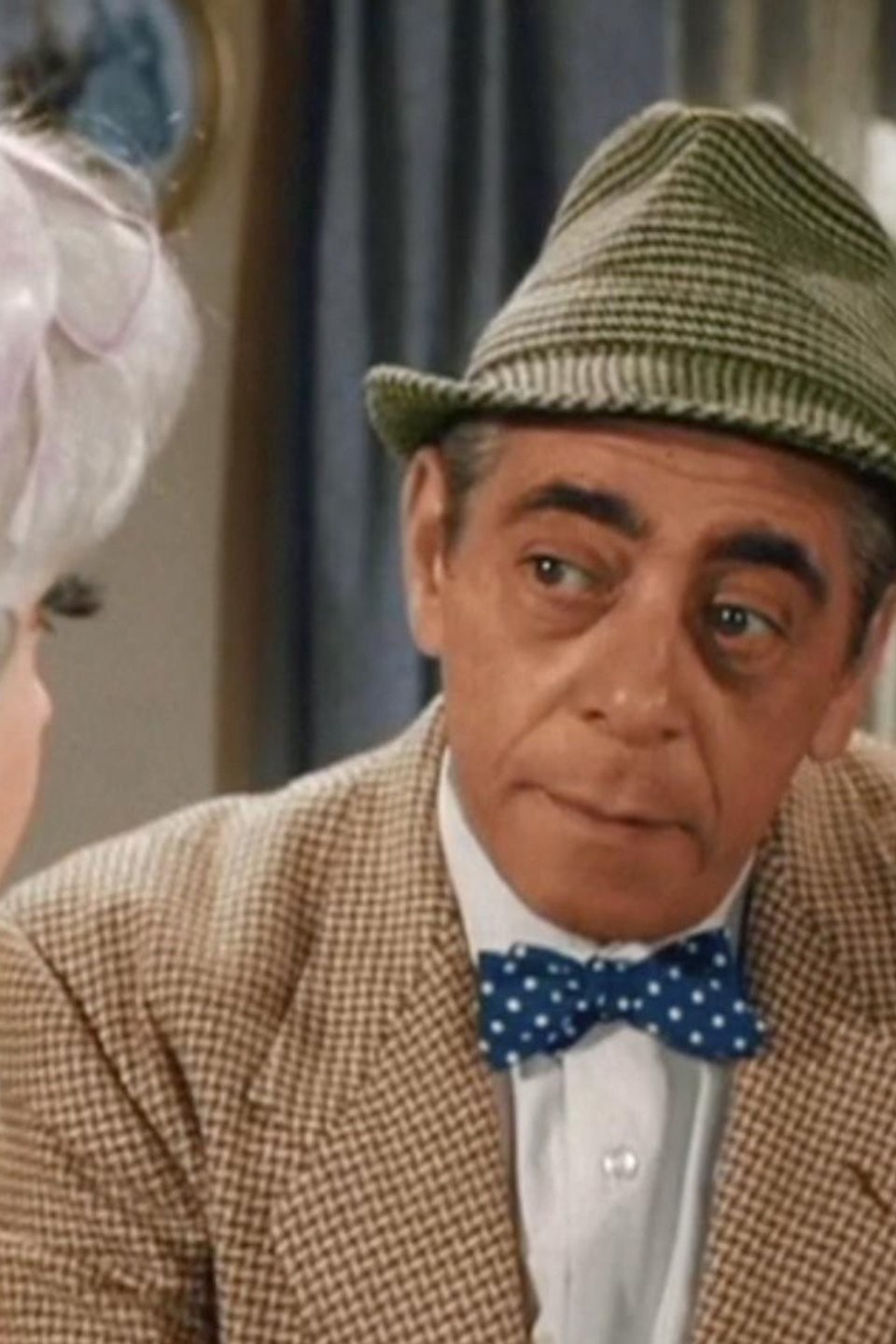 The Catnapper Pictures - Rotten Tomatoes