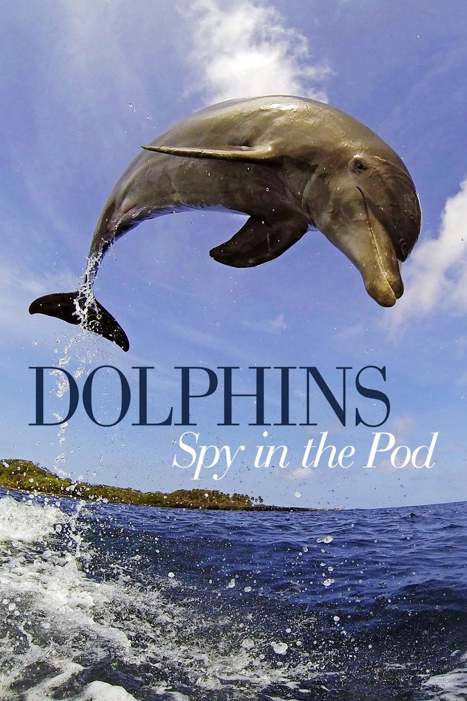 Dolphins: Spy in the Pod | Rotten Tomatoes