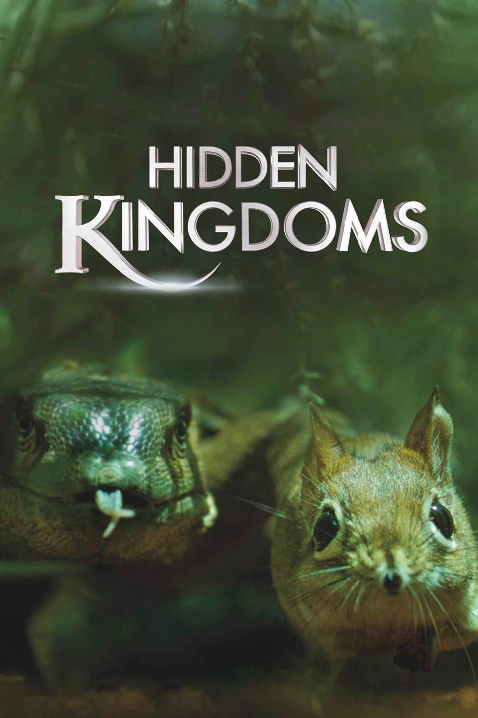 Hidden Kingdoms Pictures | Rotten Tomatoes