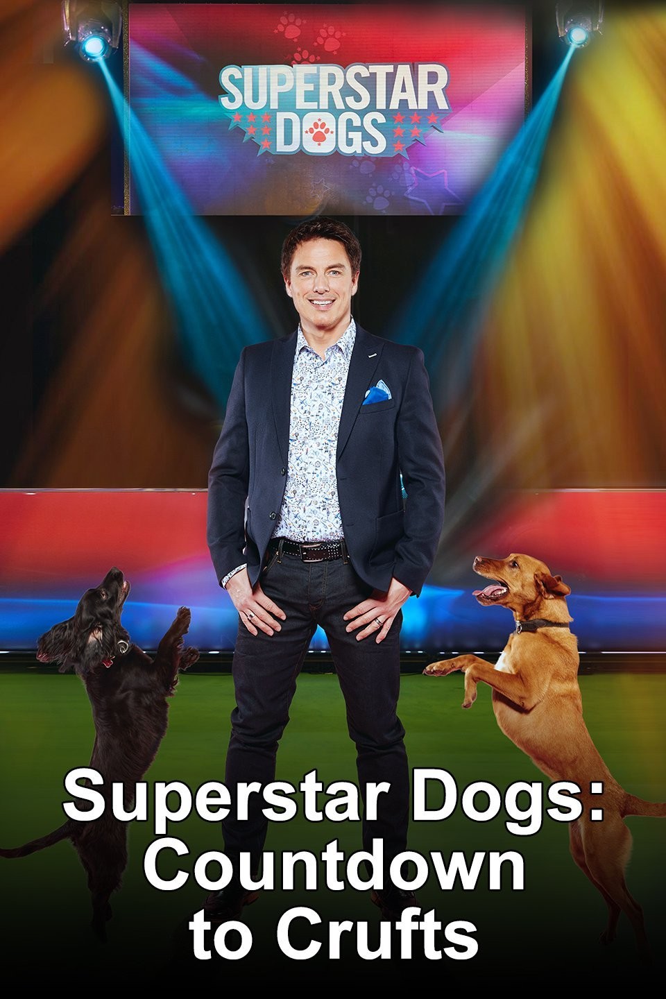 Superstar Dogs: Countdown to Crufts Season 1 | Rotten Tomatoes