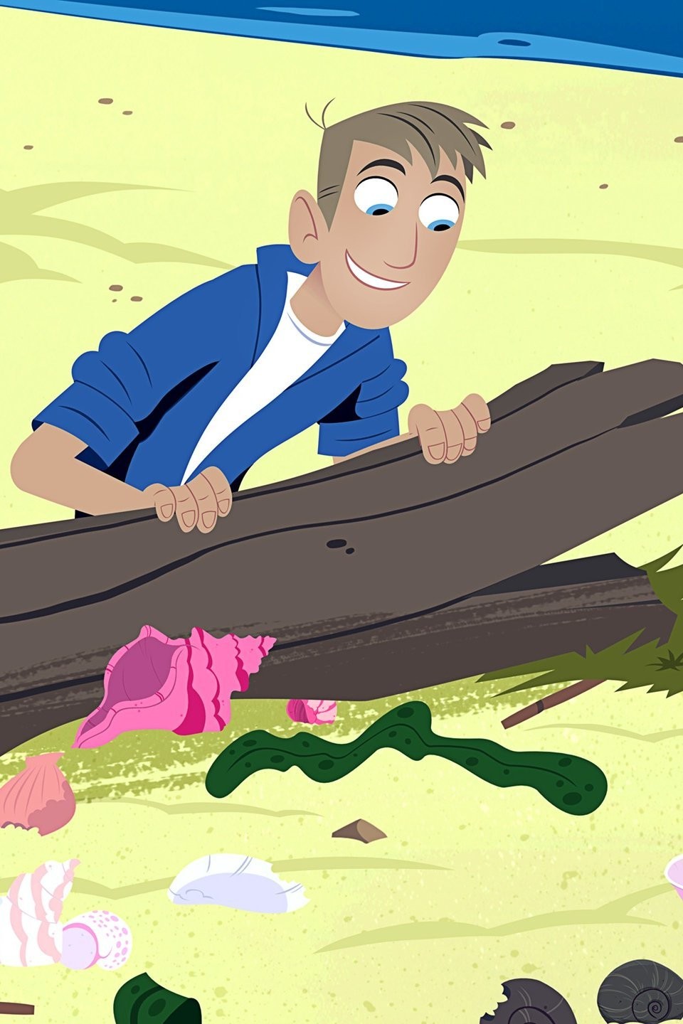 Hermit Crab Shell Exchange Pictures | Rotten Tomatoes