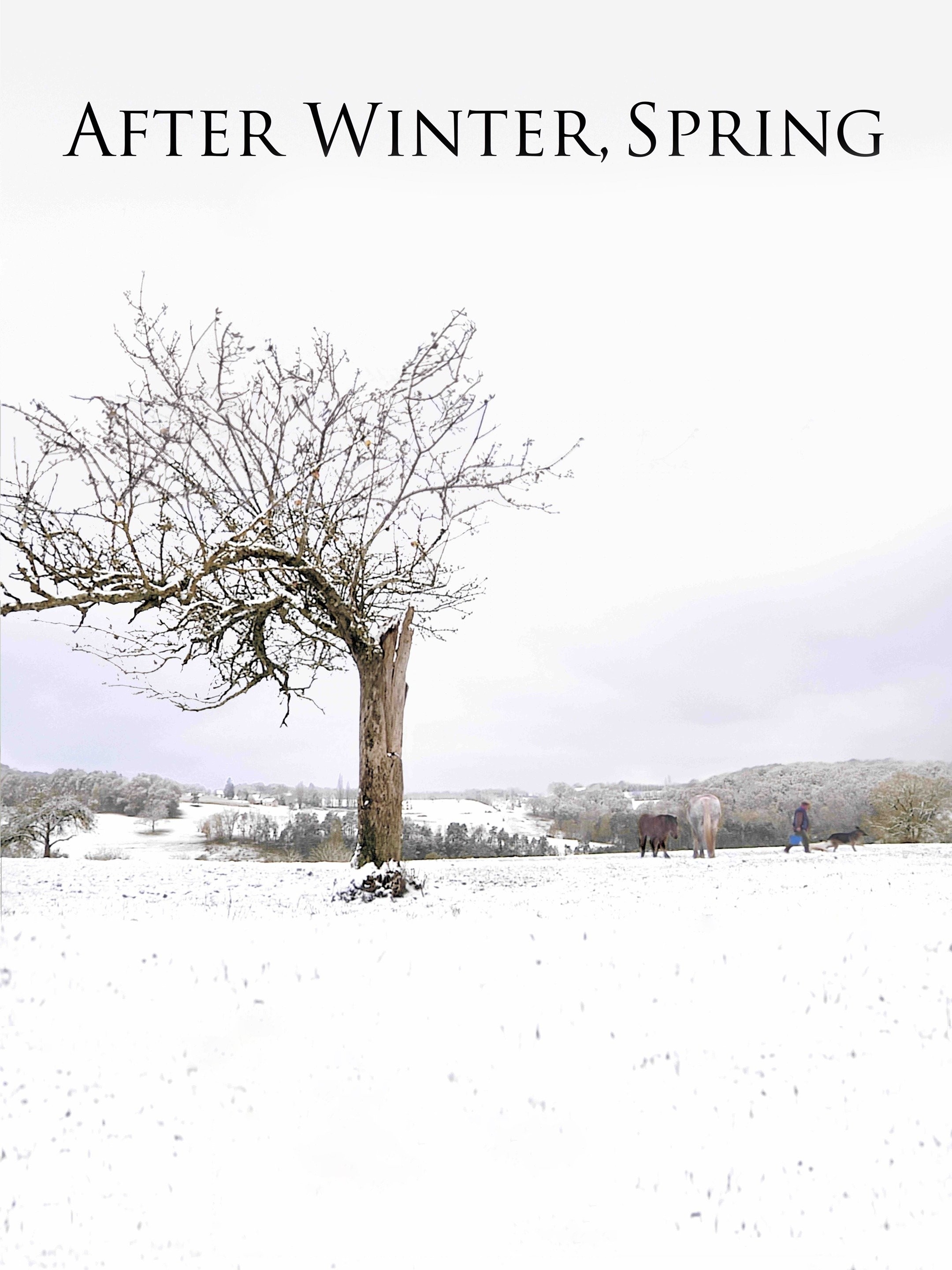 After Winter, Spring Pictures | Rotten Tomatoes