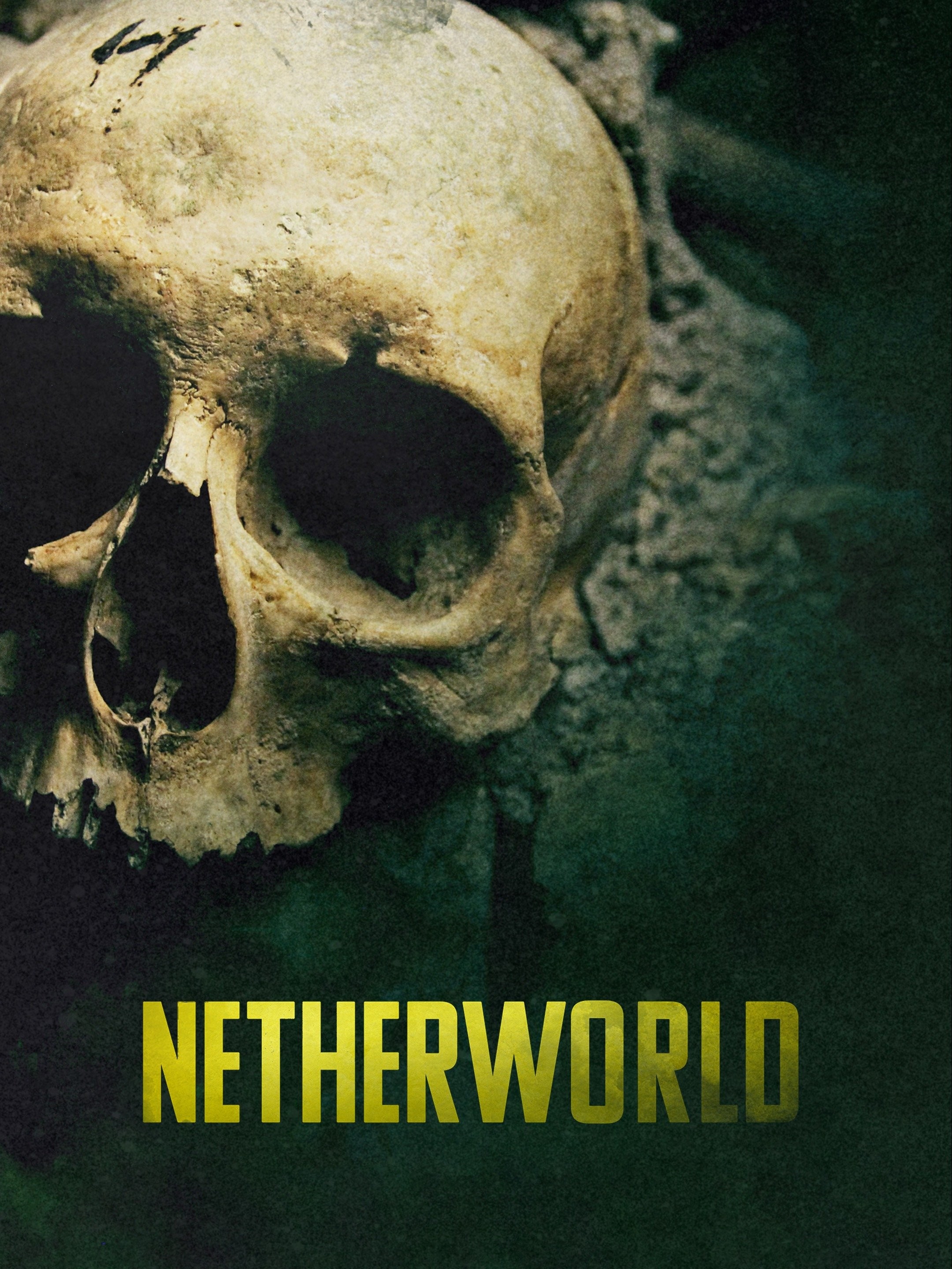 NetherWorld | Rotten Tomatoes