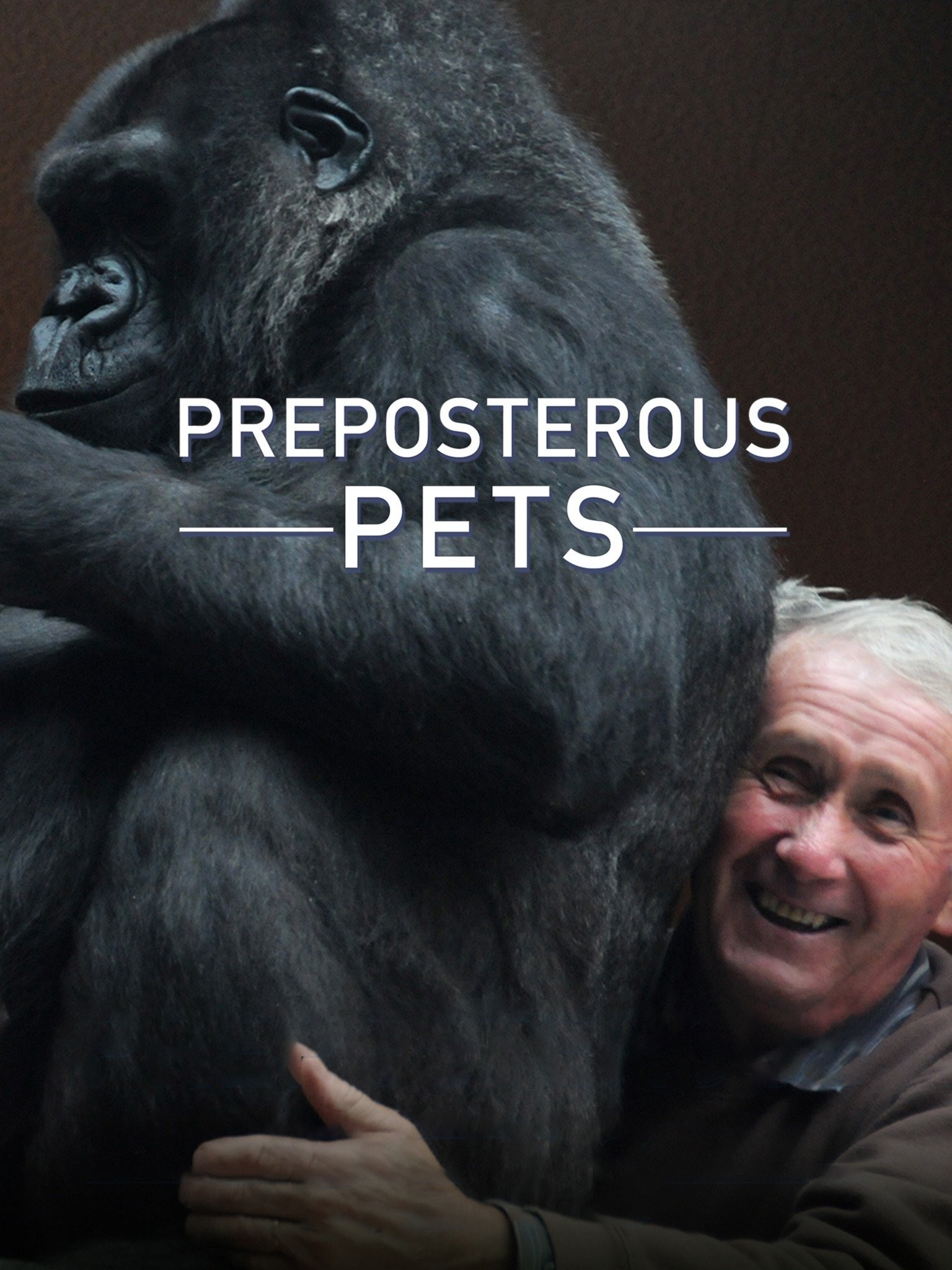 Preposterous Pets Pictures | Rotten Tomatoes