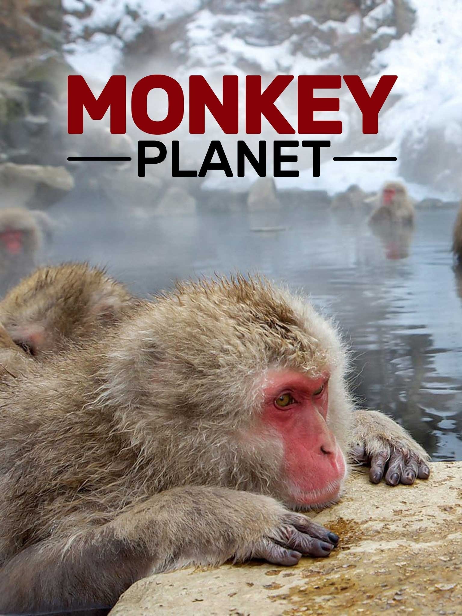 Monkey Planet Season 1 | Rotten Tomatoes
