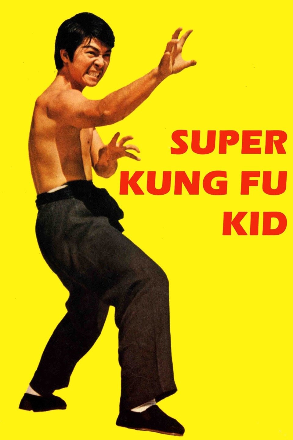 Super Kung Fu Kid | Rotten Tomatoes