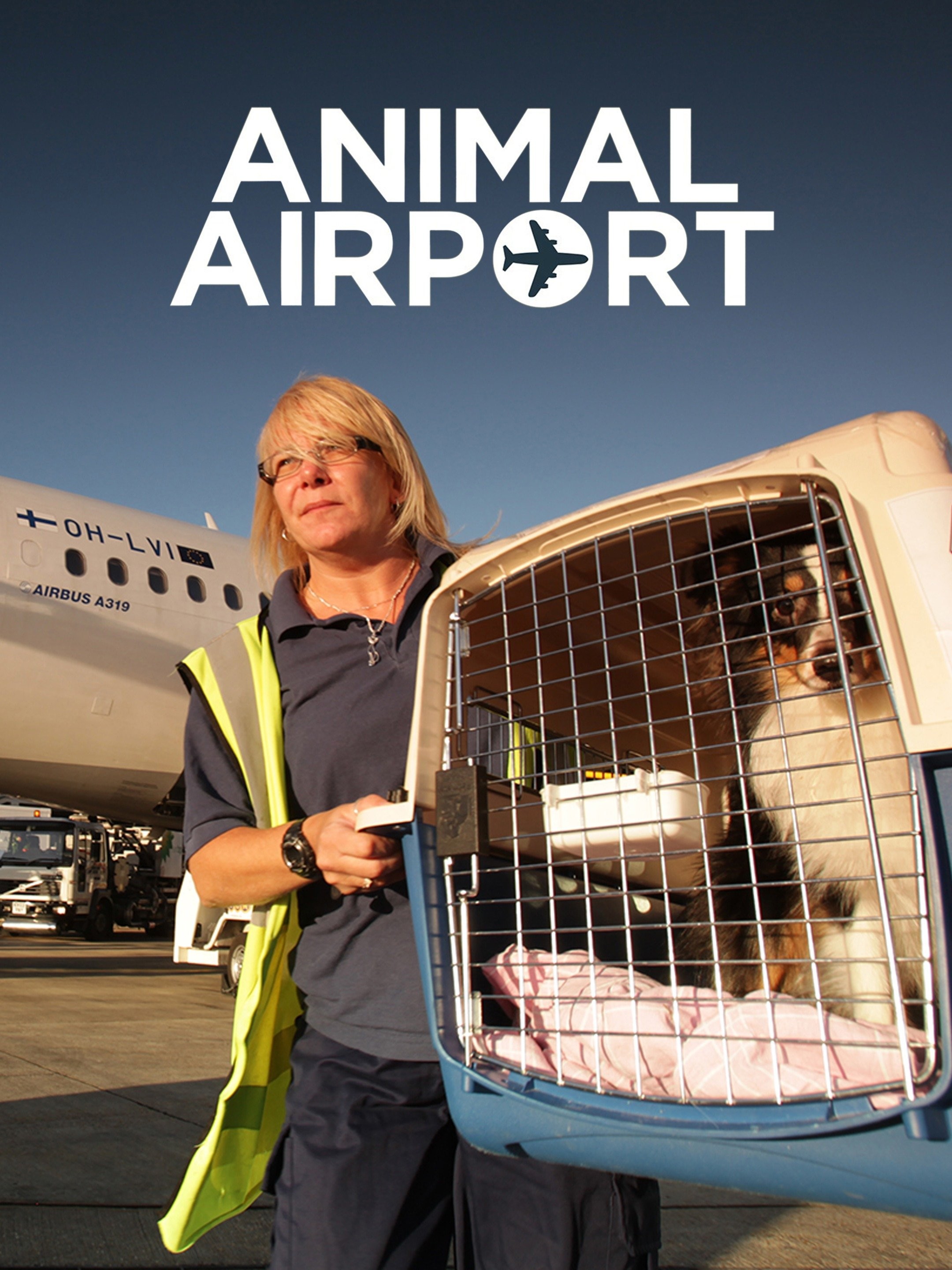 Animal Airport - Rotten Tomatoes