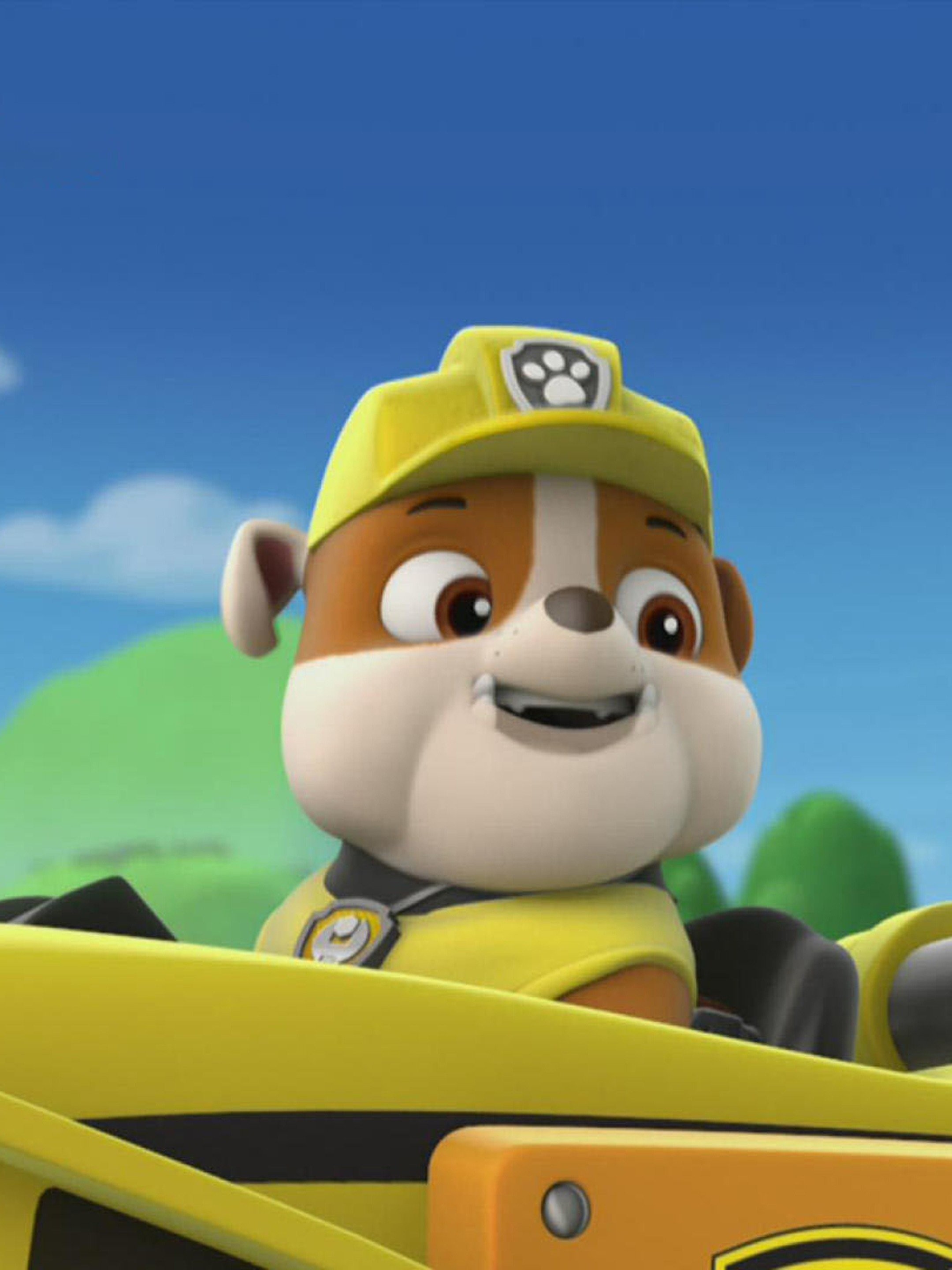 Pups Save a Walrus Pictures | Rotten Tomatoes