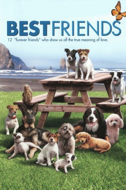 Best Friends | Rotten Tomatoes