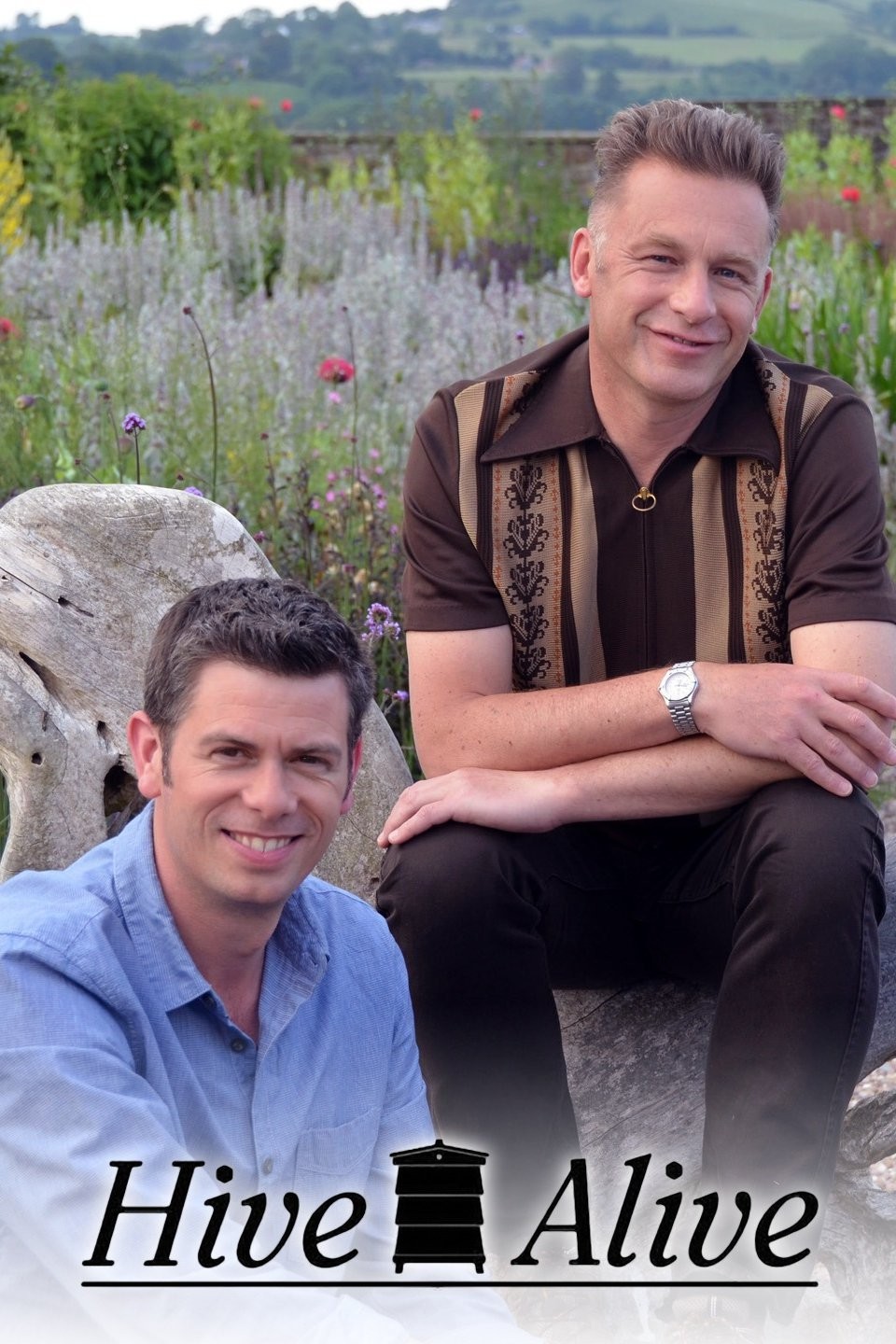Hive Alive - Rotten Tomatoes