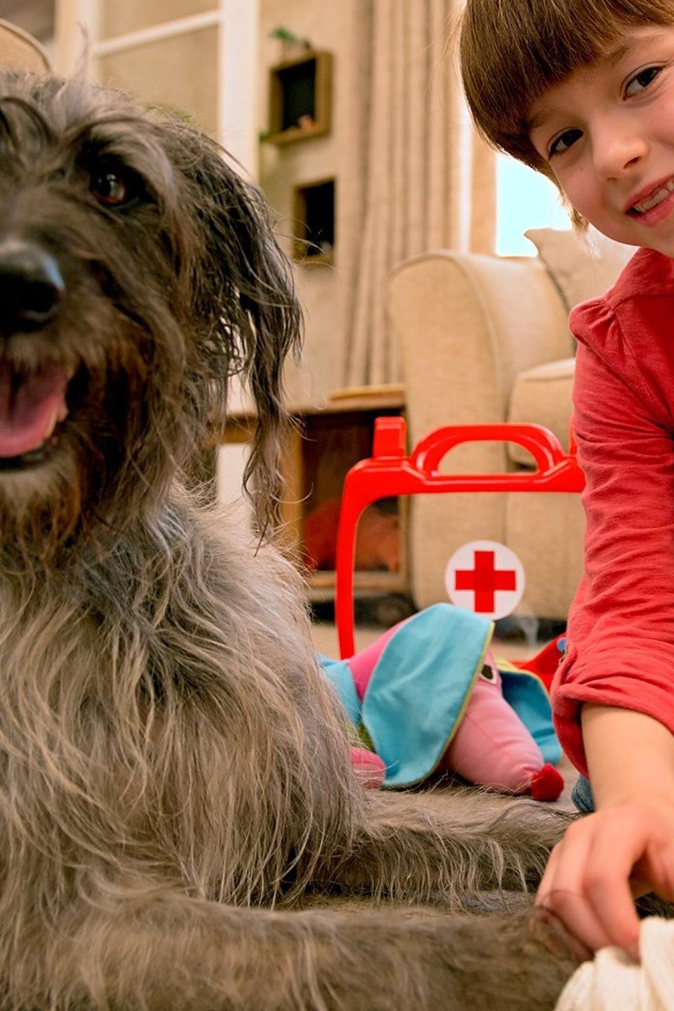 Sore Paw Pictures | Rotten Tomatoes