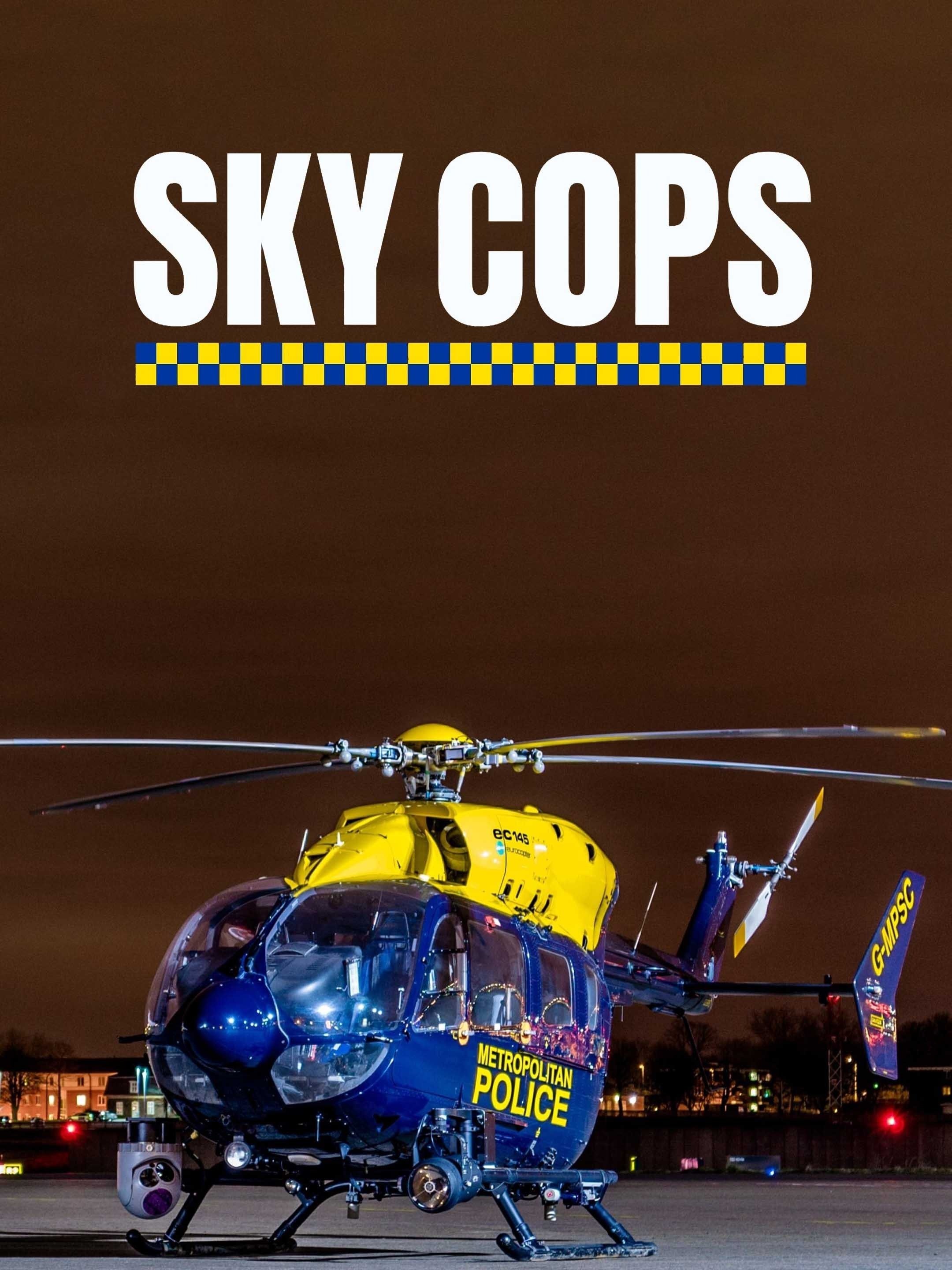 Sky Cops Season 2 | Rotten Tomatoes