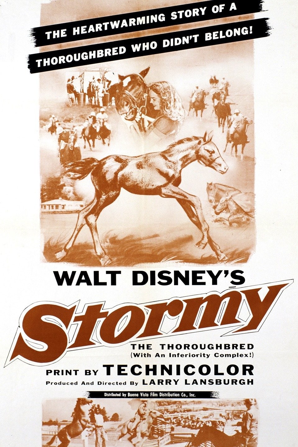 Stormy the Thoroughbred Pictures | Rotten Tomatoes