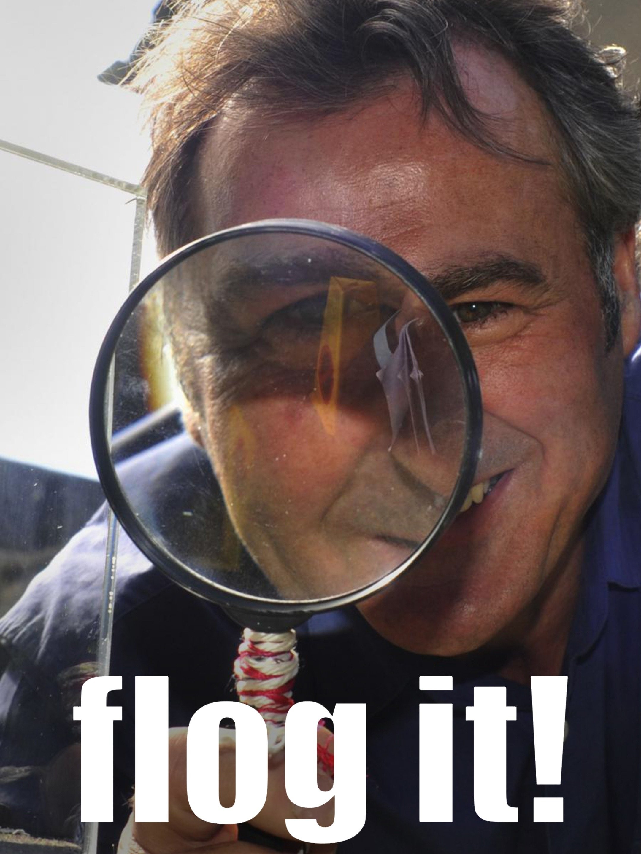 Flog It!: Season 6 Pictures | Rotten Tomatoes