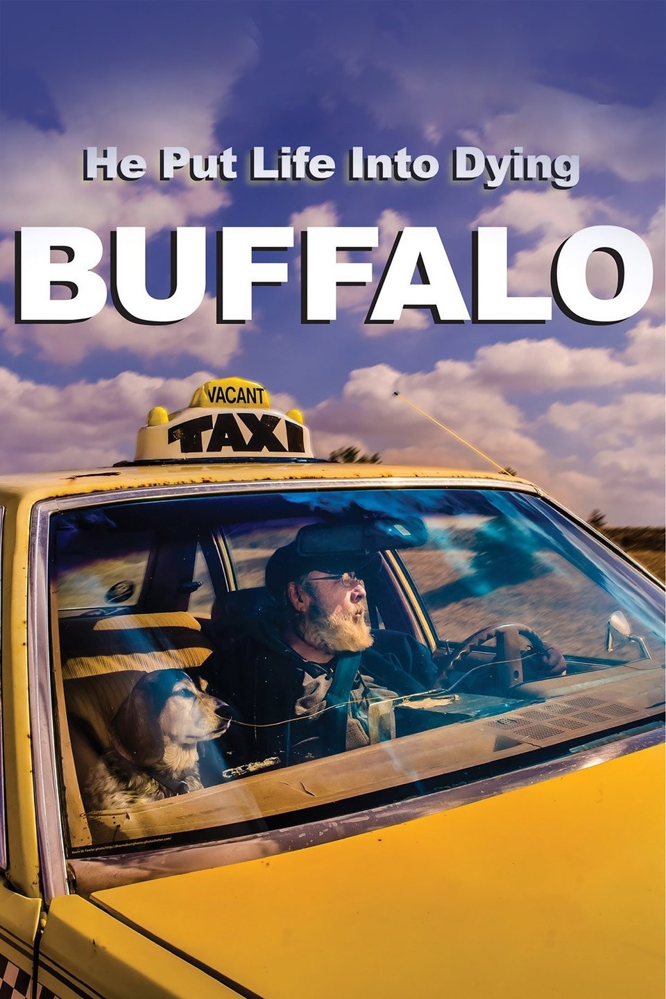Buffalo Pictures | Rotten Tomatoes