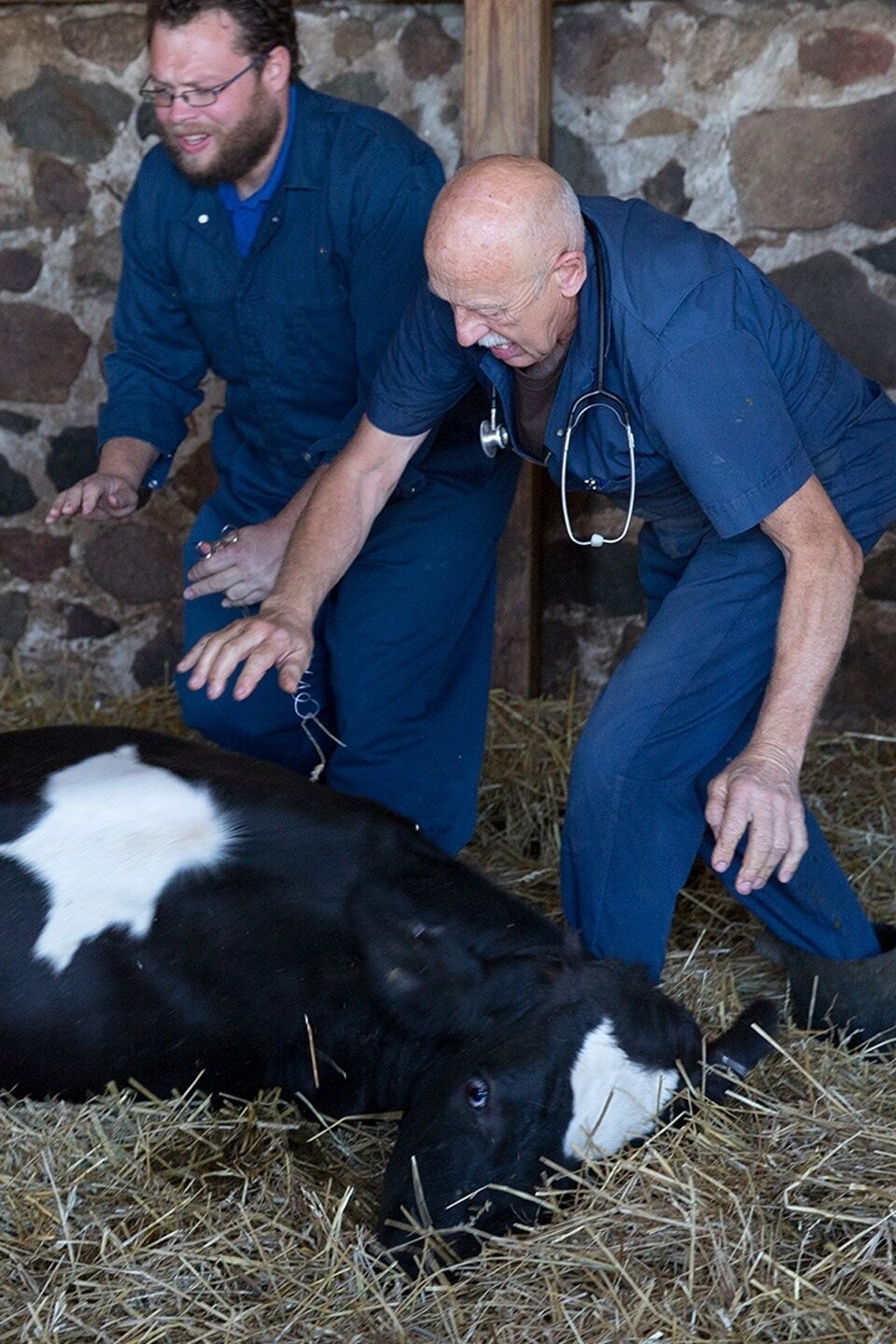 Barking Bad Pictures | Rotten Tomatoes