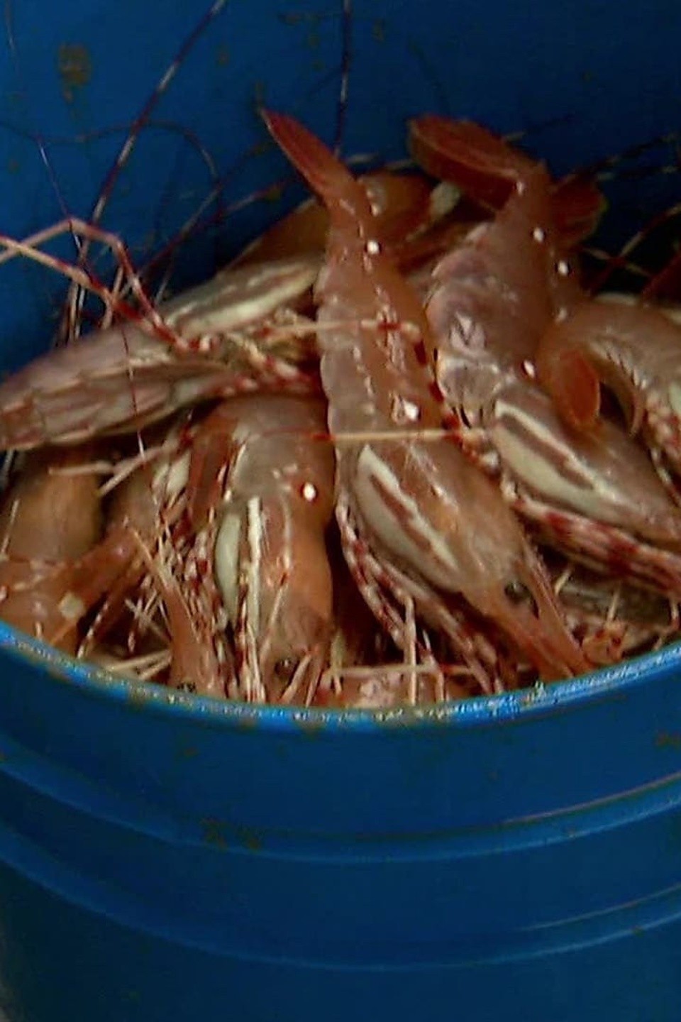 SSGs Lucas & Heidi Wacker Are Living Their Dream Sheet Pictures ...