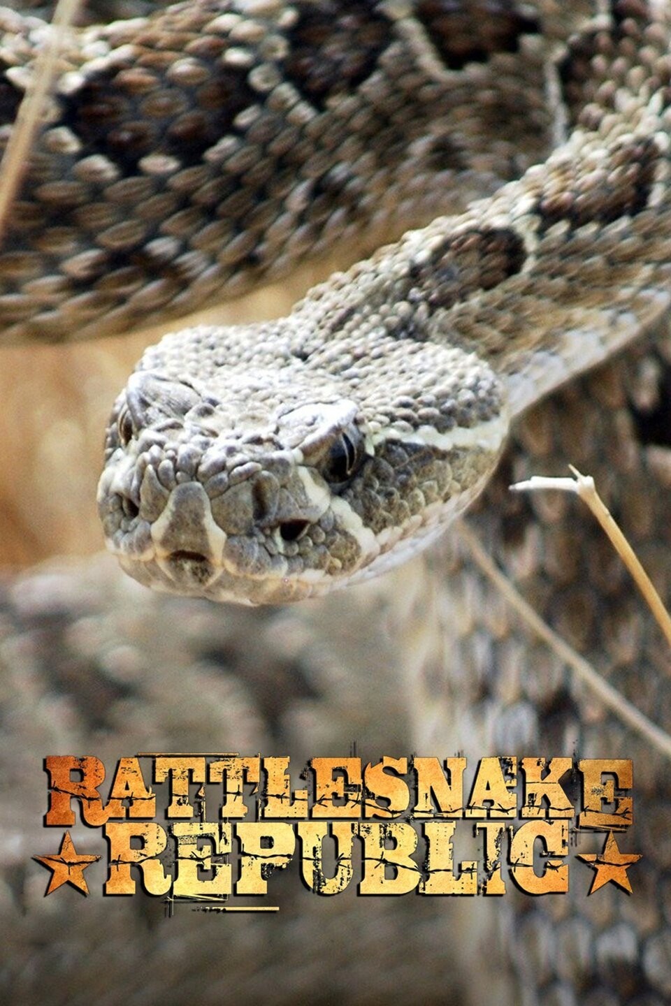 Snakes on a Stage Pictures | Rotten Tomatoes