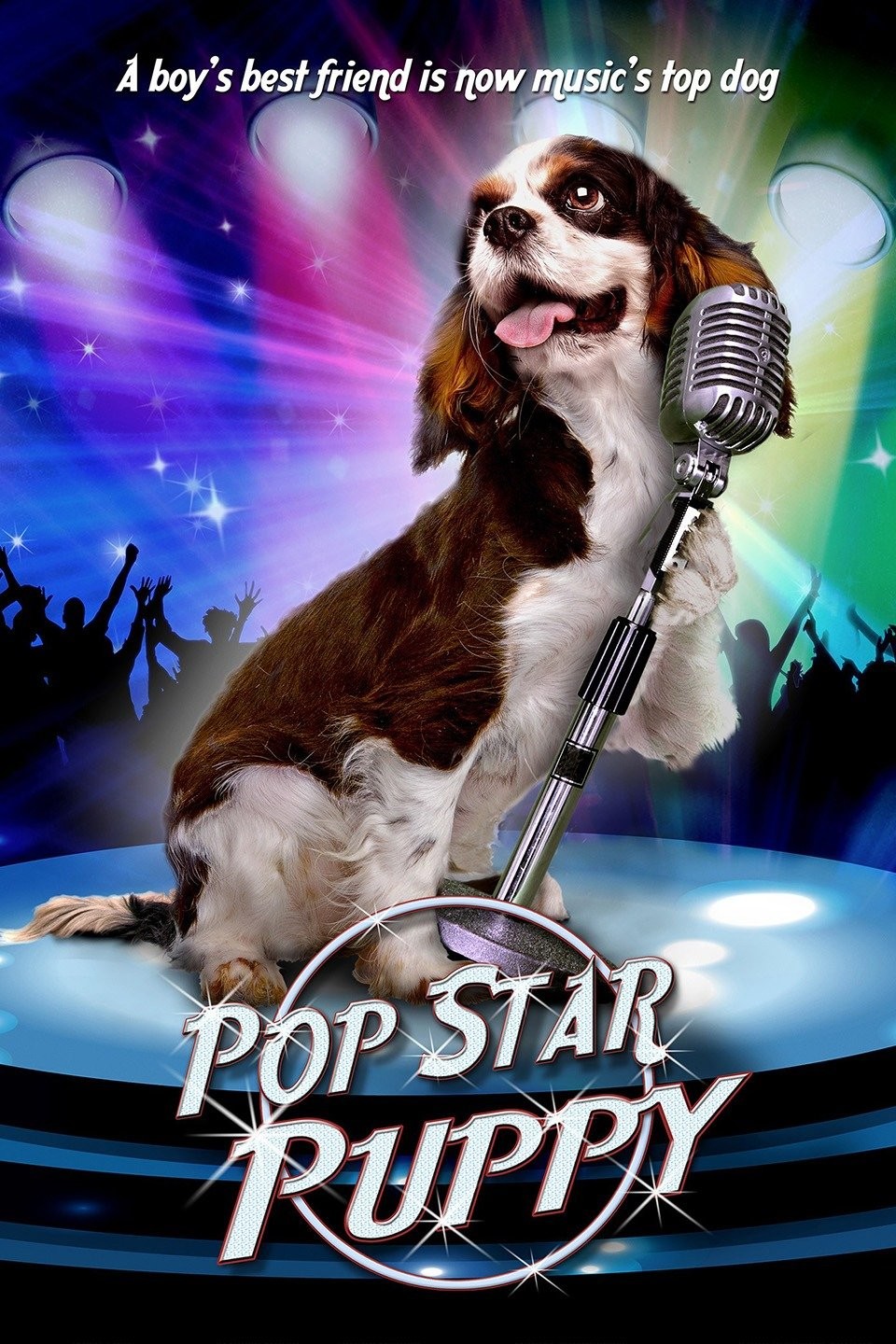 Pop Star Puppy Pictures | Rotten Tomatoes