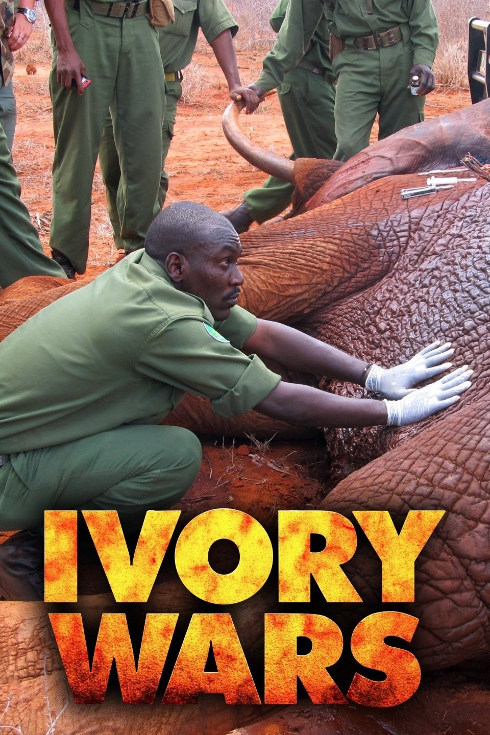 Ivory Wars Pictures | Rotten Tomatoes