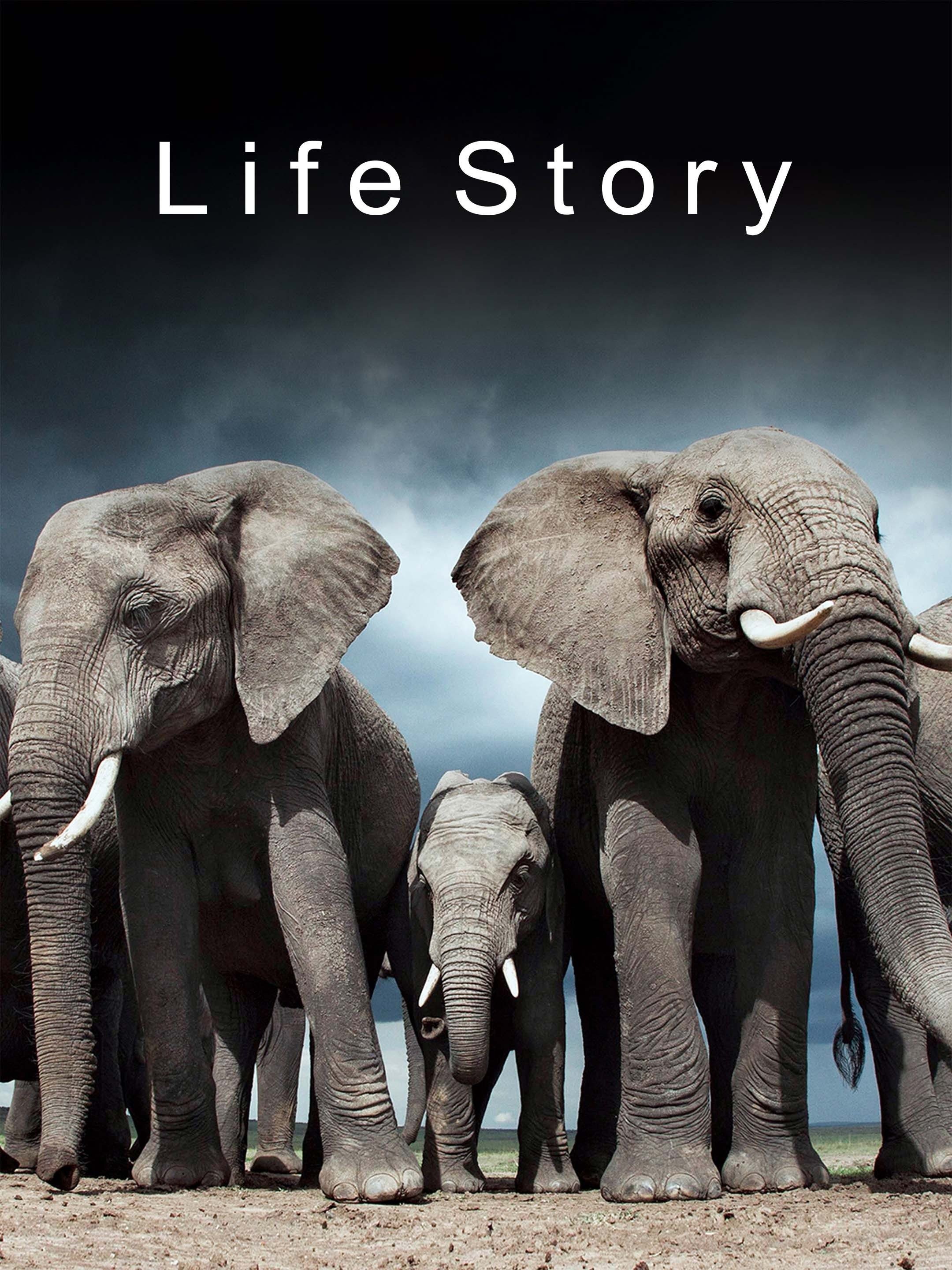 Life Story | Rotten Tomatoes