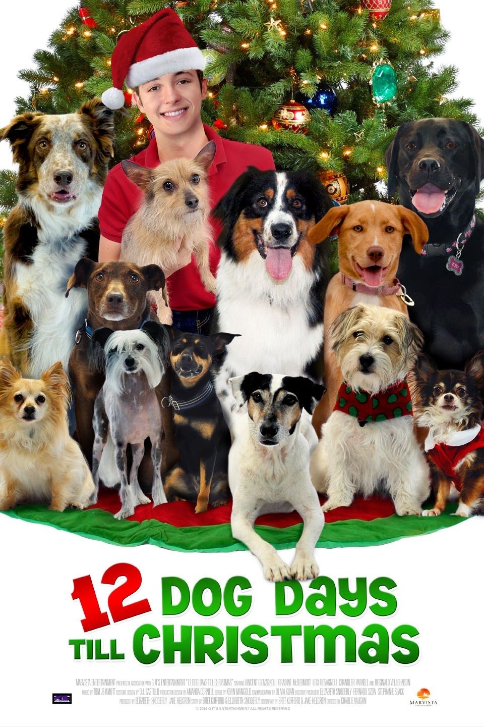 12 Dog Days Till Christmas | Rotten Tomatoes