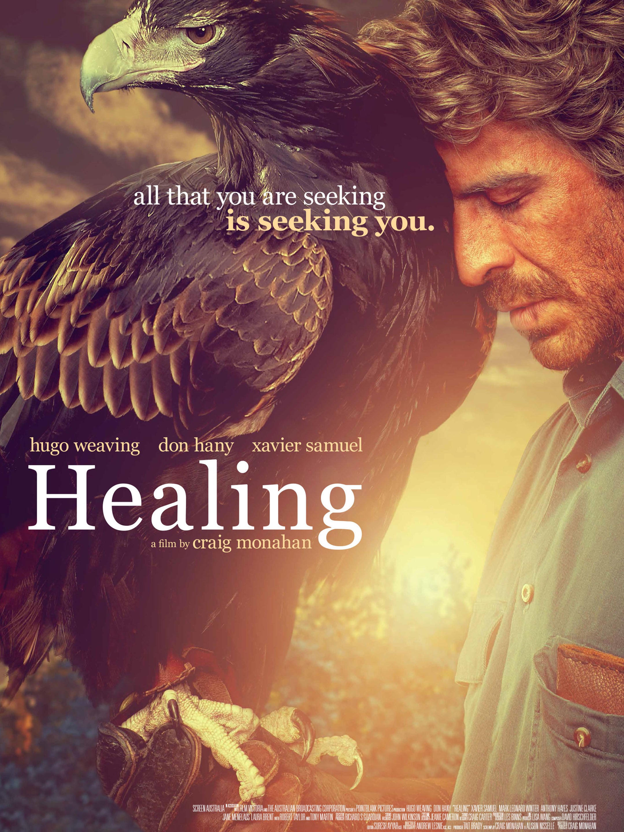 Healing Pictures | Rotten Tomatoes
