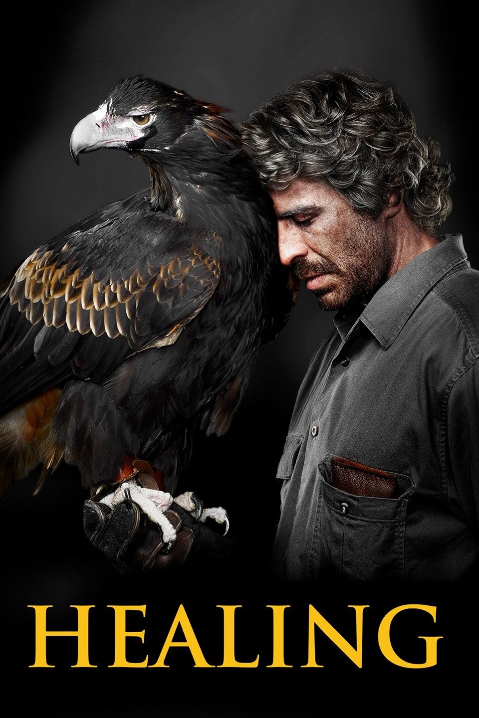 Healing - Rotten Tomatoes