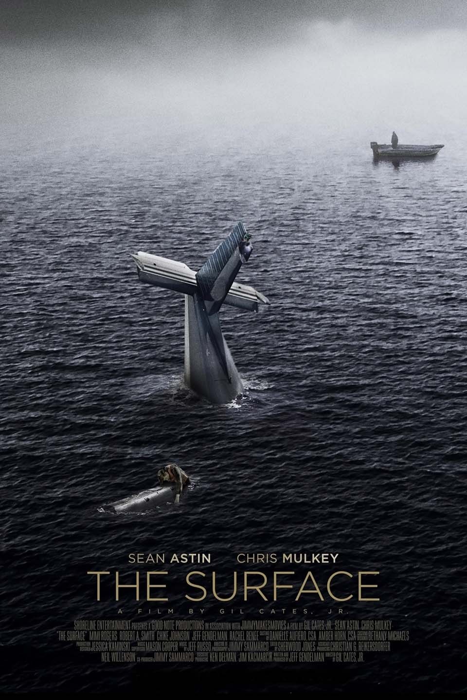 The Surface | Rotten Tomatoes