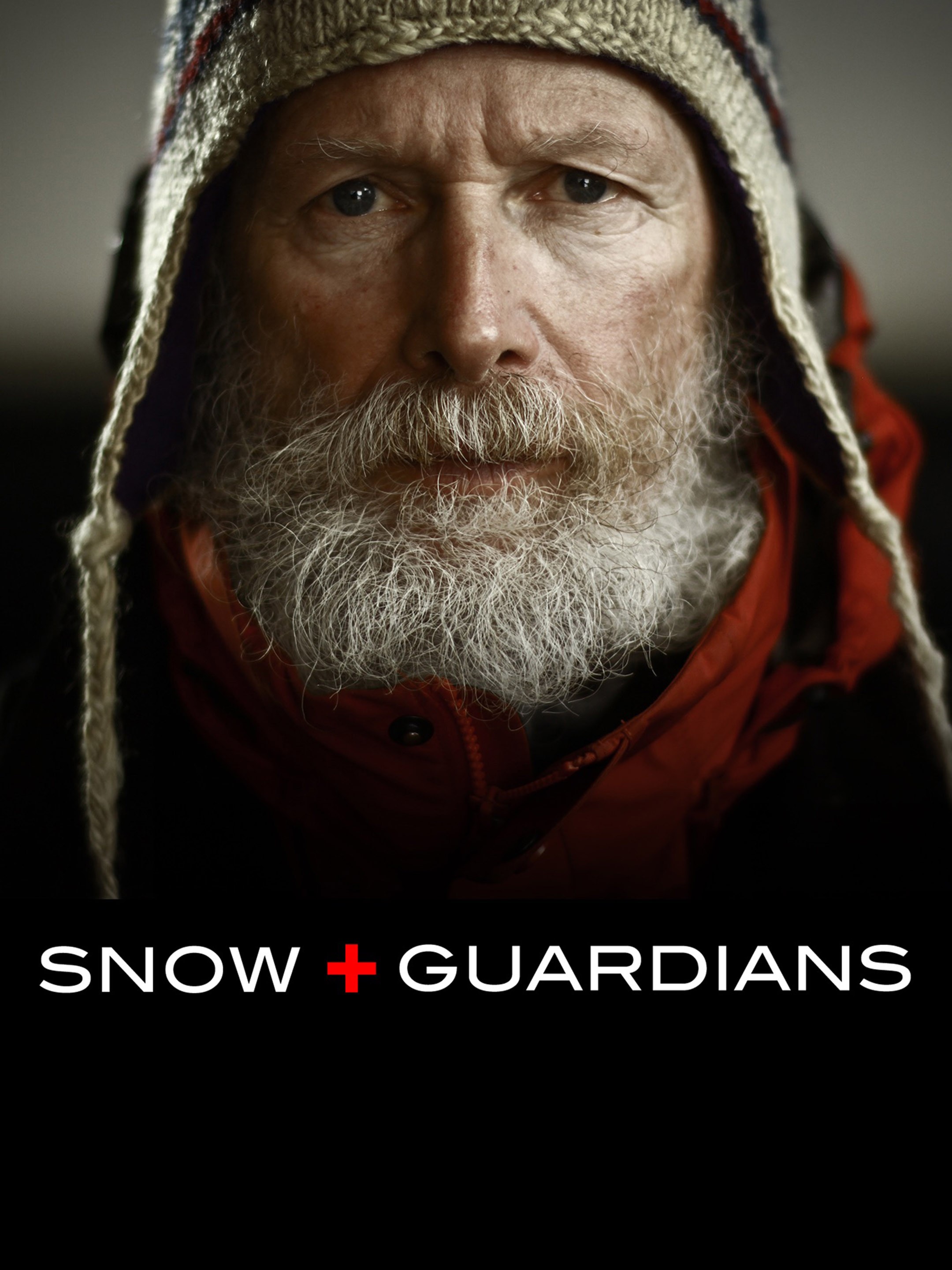Snow Guardians | Rotten Tomatoes