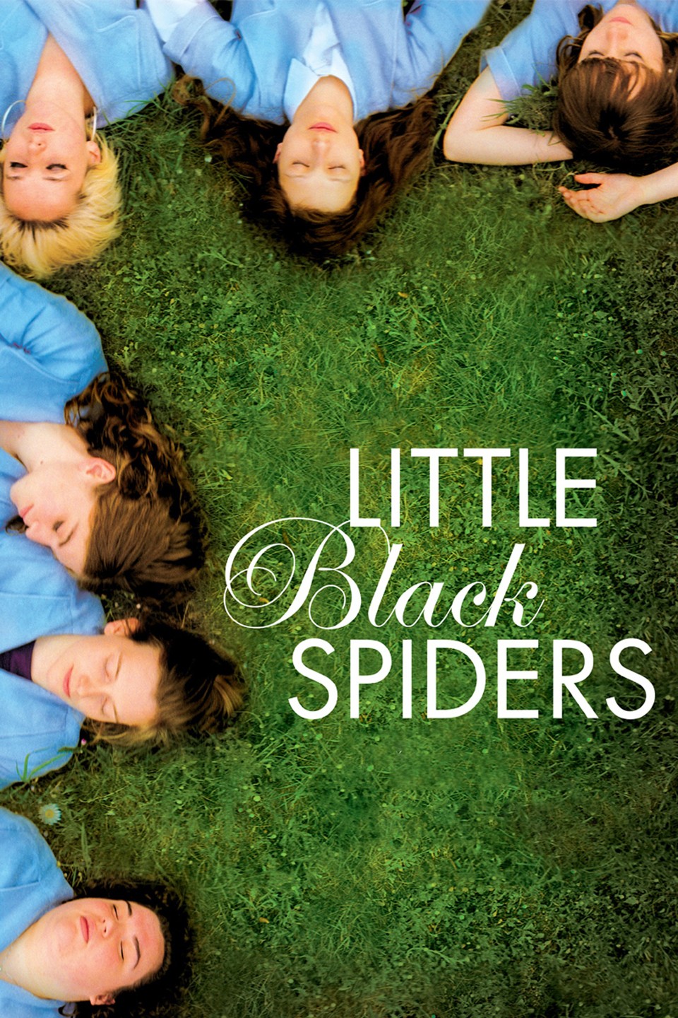 Little Black Spiders | Rotten Tomatoes